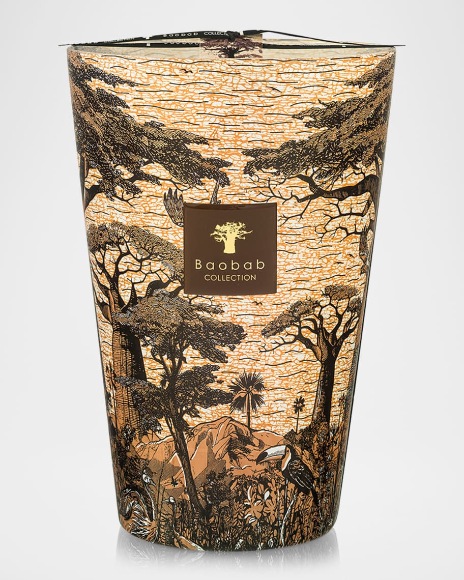 Baobab Collection Sacred Trees Mankono 7-Wick Max 35 Candle, 10.35 kg ...