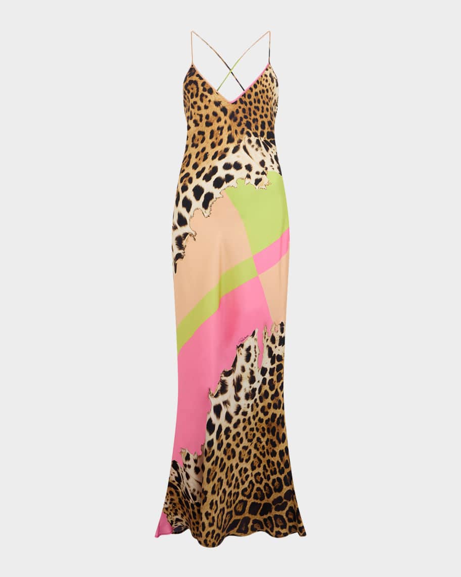 Roberto Cavalli Colorblock Jaguar-Print Silk Maxi Slip Dress | Neiman ...