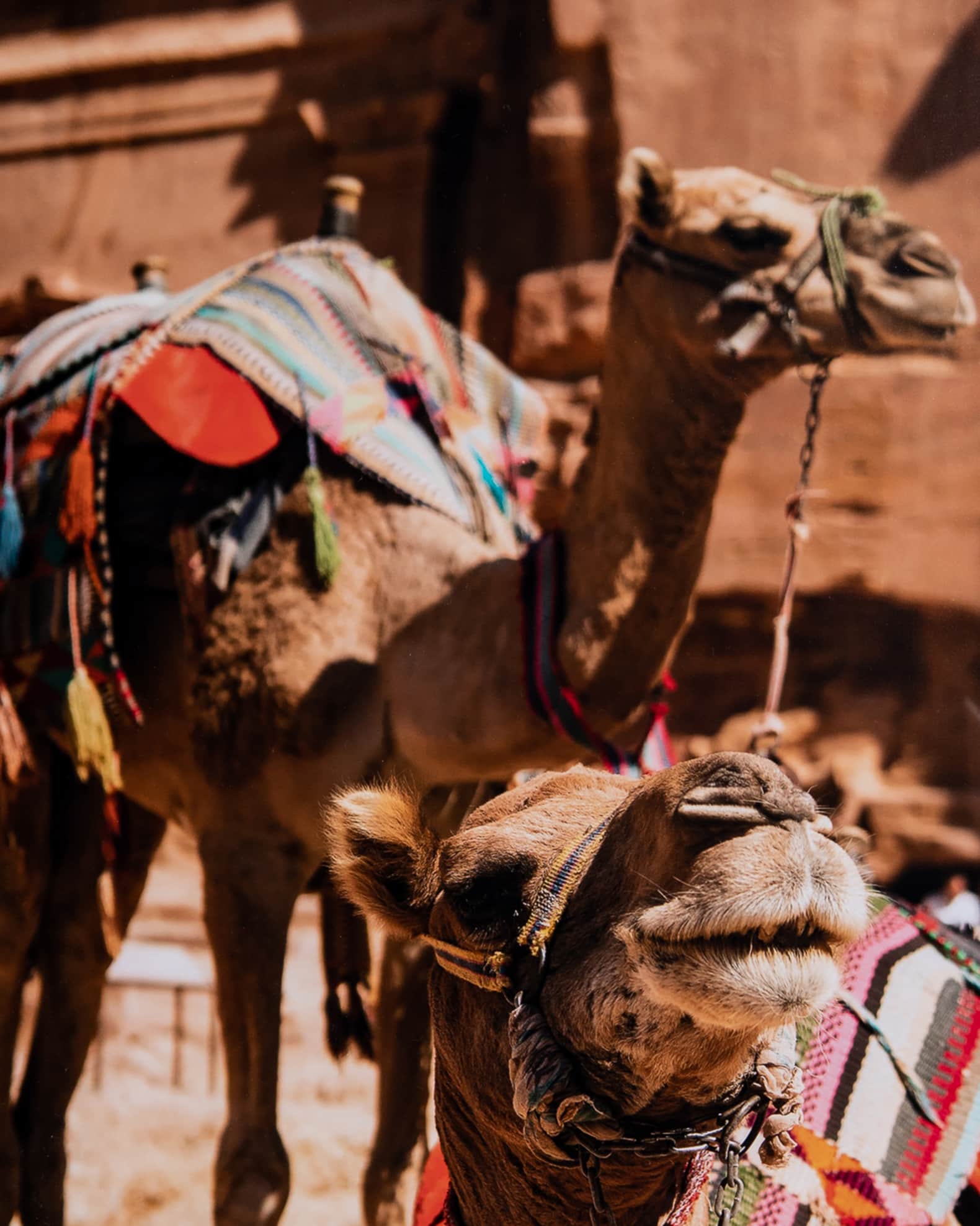 Four Hands "Camels" Photography Print Framed Handmade Art | Neiman Marcus