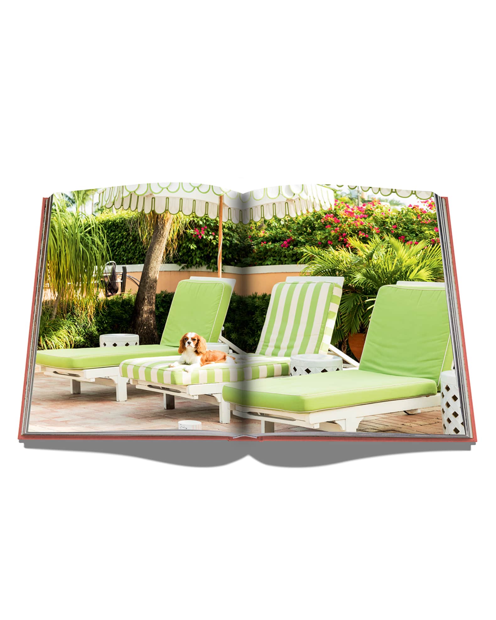 Assouline "Palm Beach" Book by Aerin Lauder | Neiman Marcus