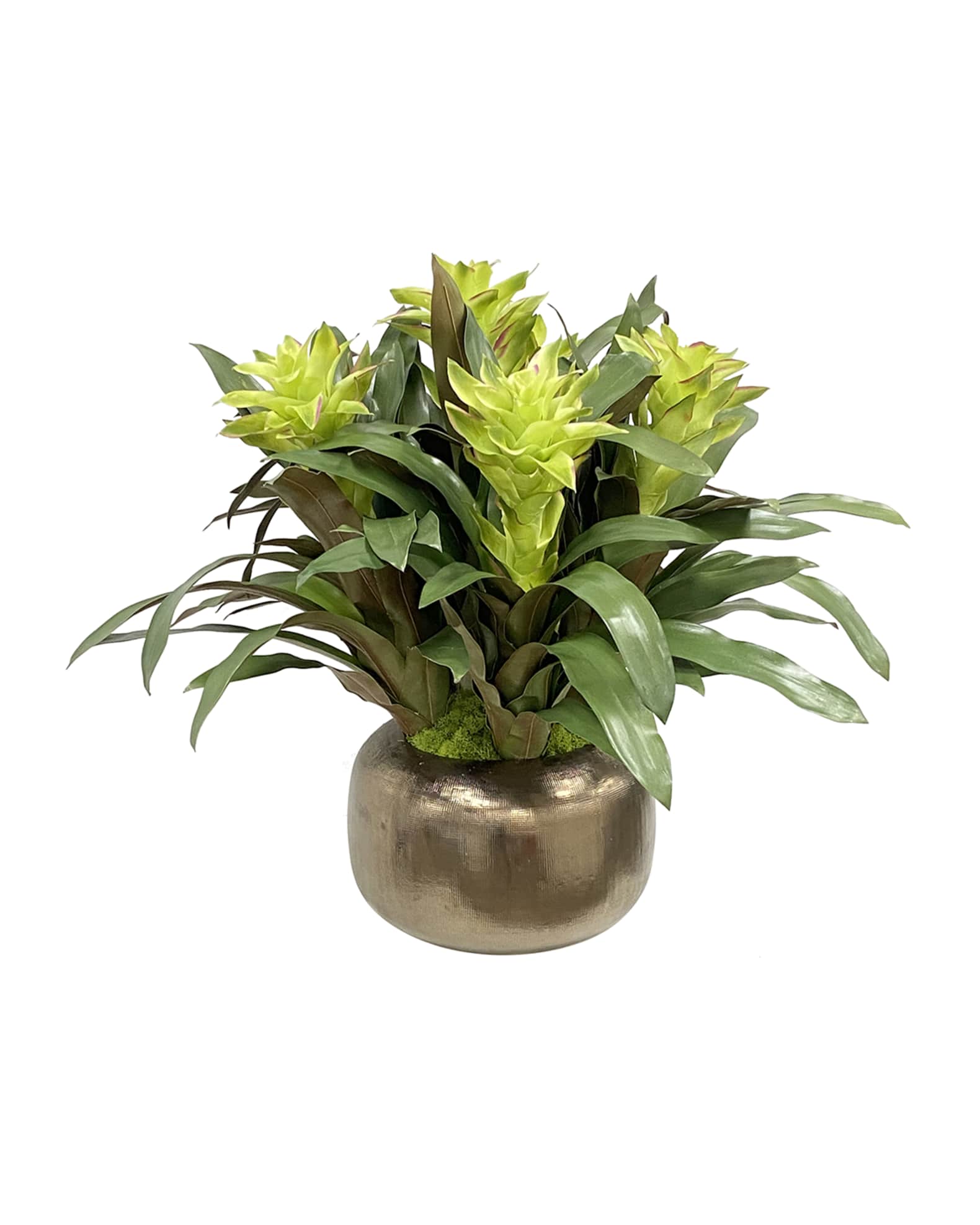Winward Home Bromeliad Floral Arrangement in Artisanal Pot | Neiman Marcus