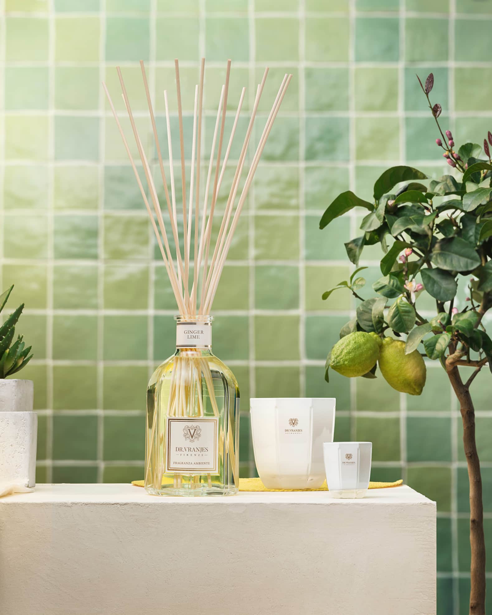 Dr. Vranjes Firenze Ginger Lime Glass Bottle Home Fragrance, 17 oz. | Neiman Marcus