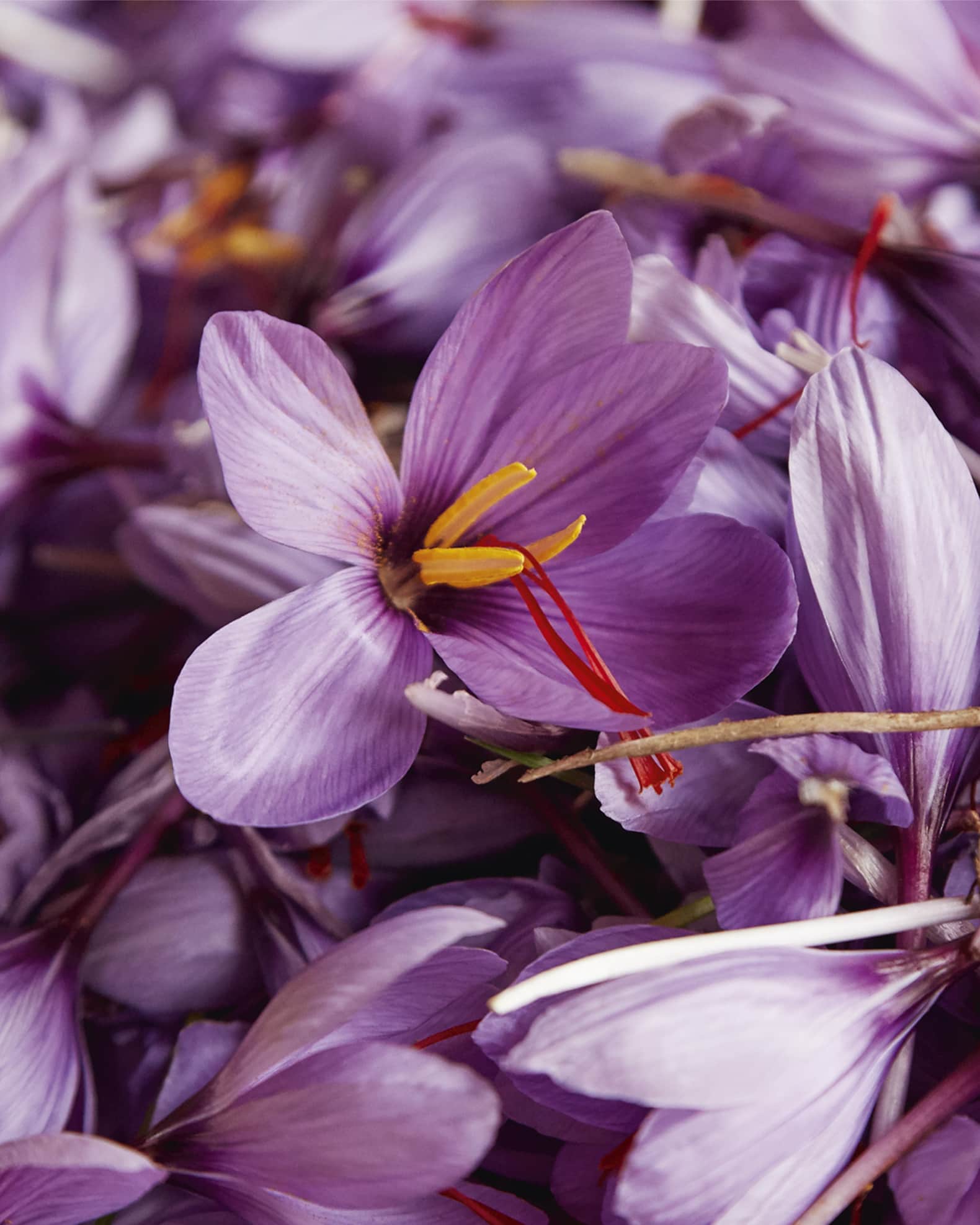 Yves Saint Laurent Beaute Or Rouge Mask-in-Creme Refill, 1.7 oz./ 50 mL ...