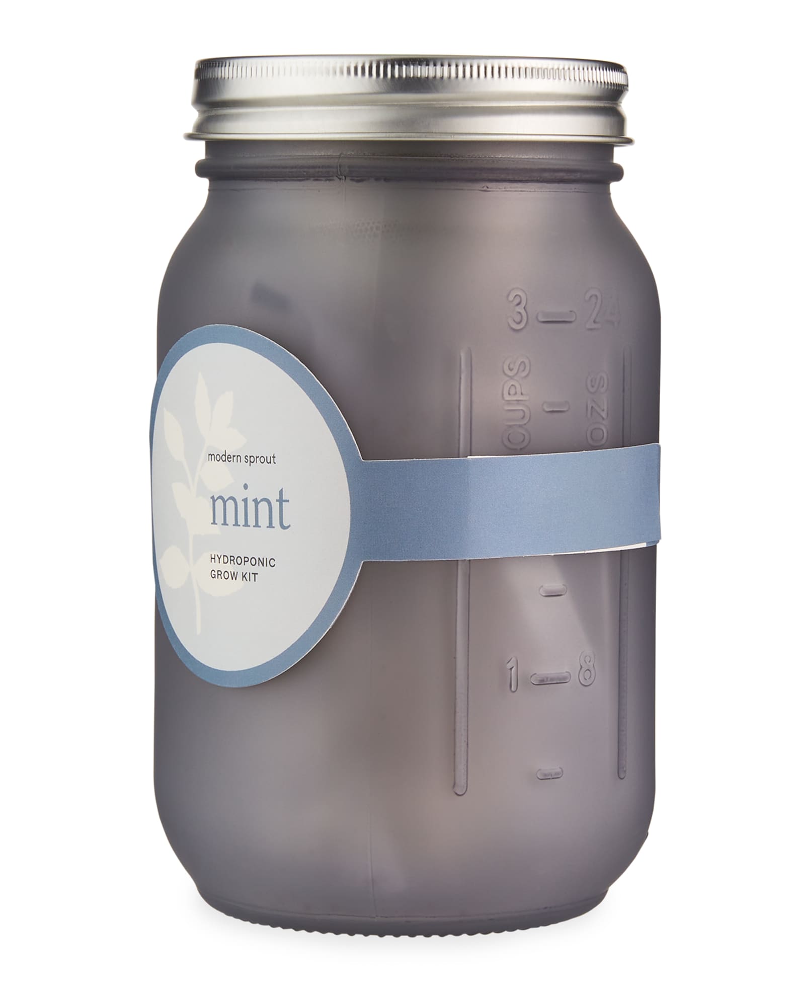 Modern Sprout Garden Jar - Mint | Neiman Marcus