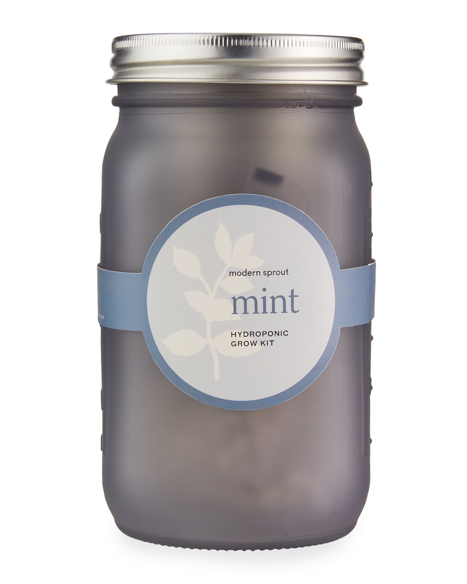 Modern Sprout Garden Jar - Mint | Neiman Marcus