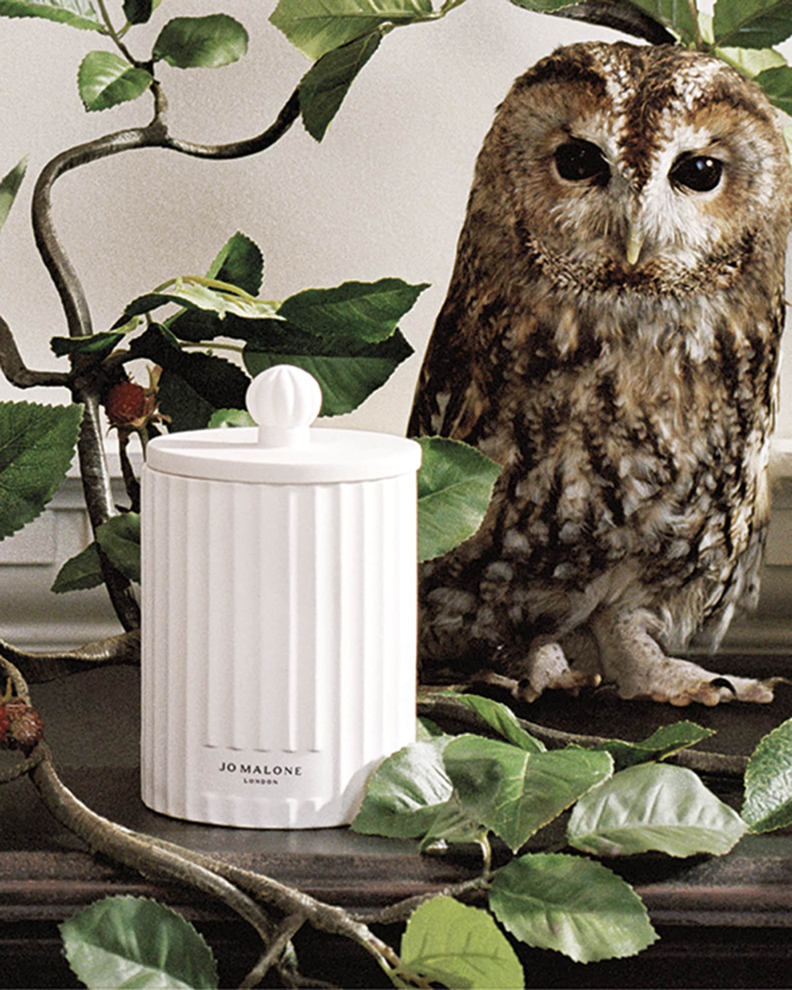 Jo Malone London 10.6 oz. Wild Berry & Bramble Candle | Neiman Marcus