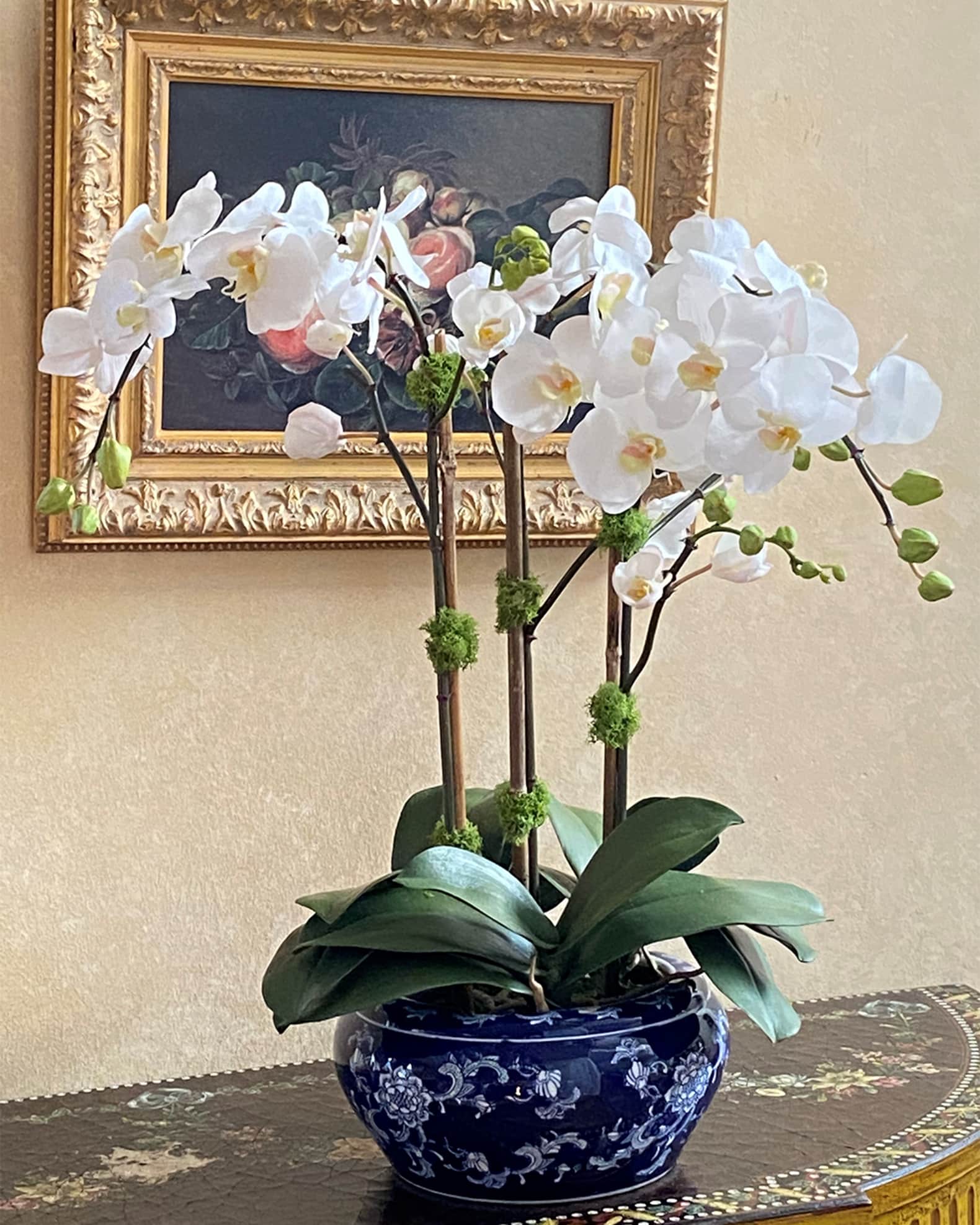 Winward Home Orchid in Fish Bowl | Neiman Marcus