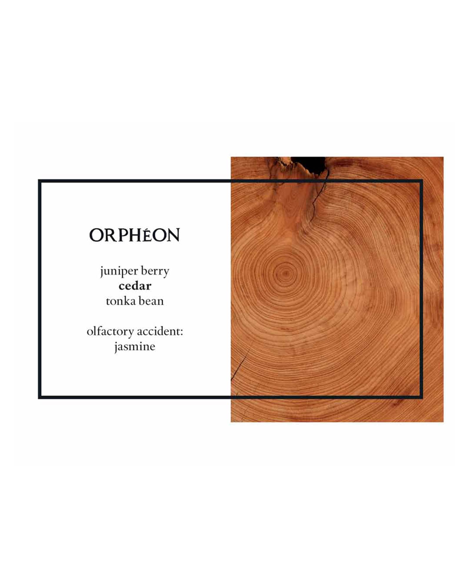 DIPTYQUE Orpheon Eau de Parfum, 2.4 oz. | Neiman Marcus