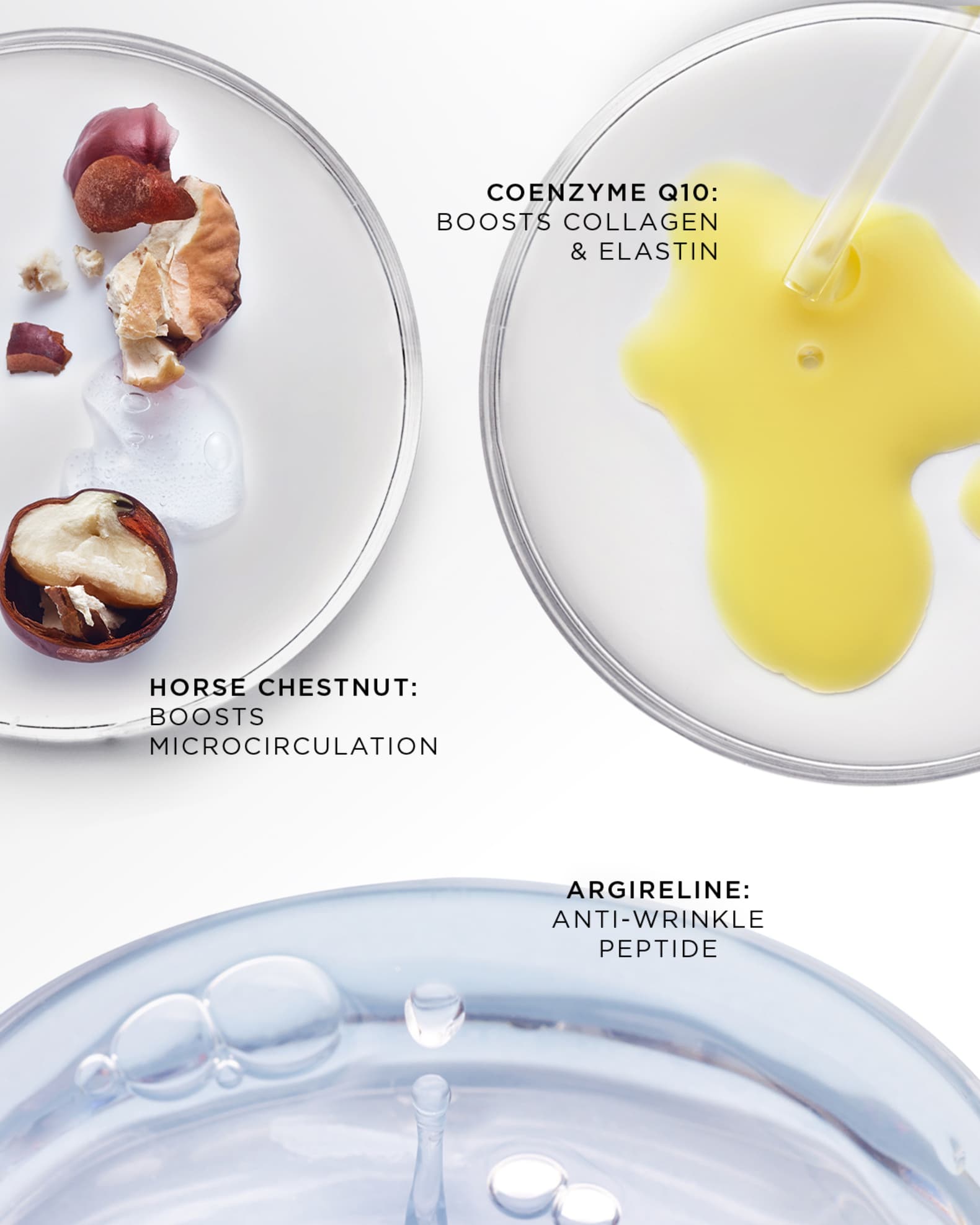 Noble Panacea The Absolute Restoring Eye Cream Refill, 30 Doses ...