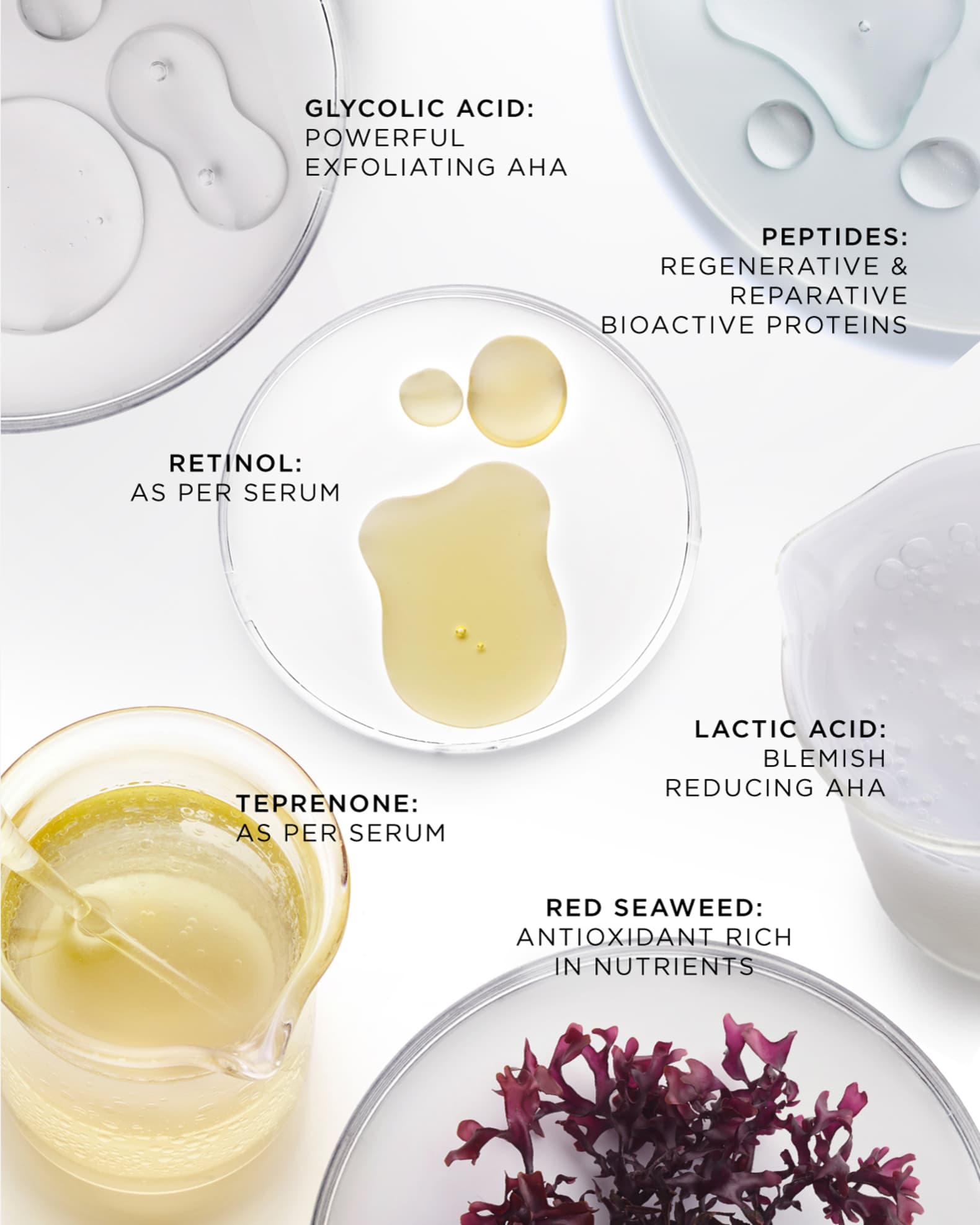 Noble Panacea The Absolute Rejuvenation Night Balm Refill, 30 Doses ...
