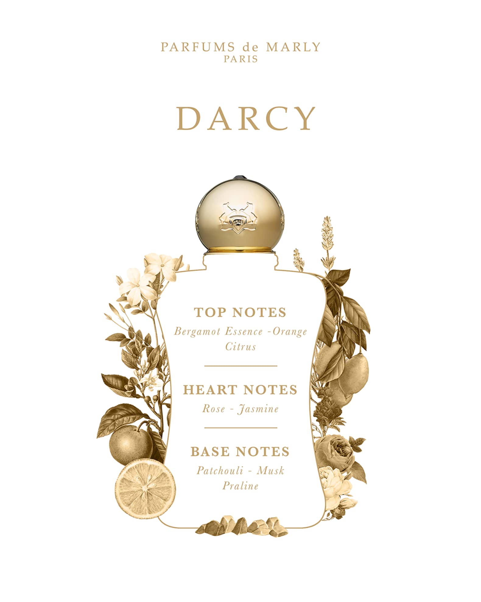 darcy cosmetics