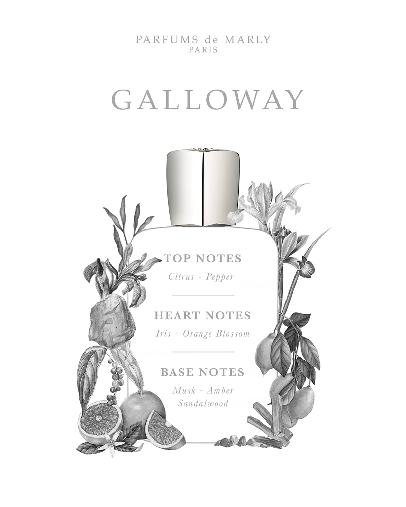 Parfums de Marly Galloway Eau de Parfum, 4.2 oz. | Neiman Marcus