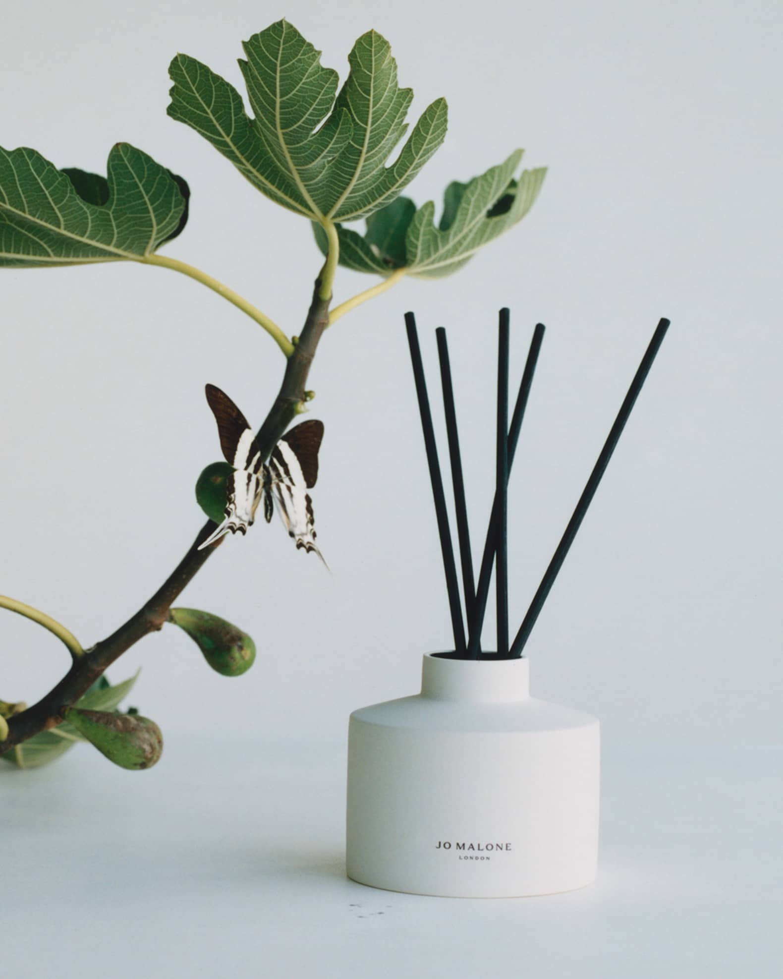 fresh fig reed diffuser