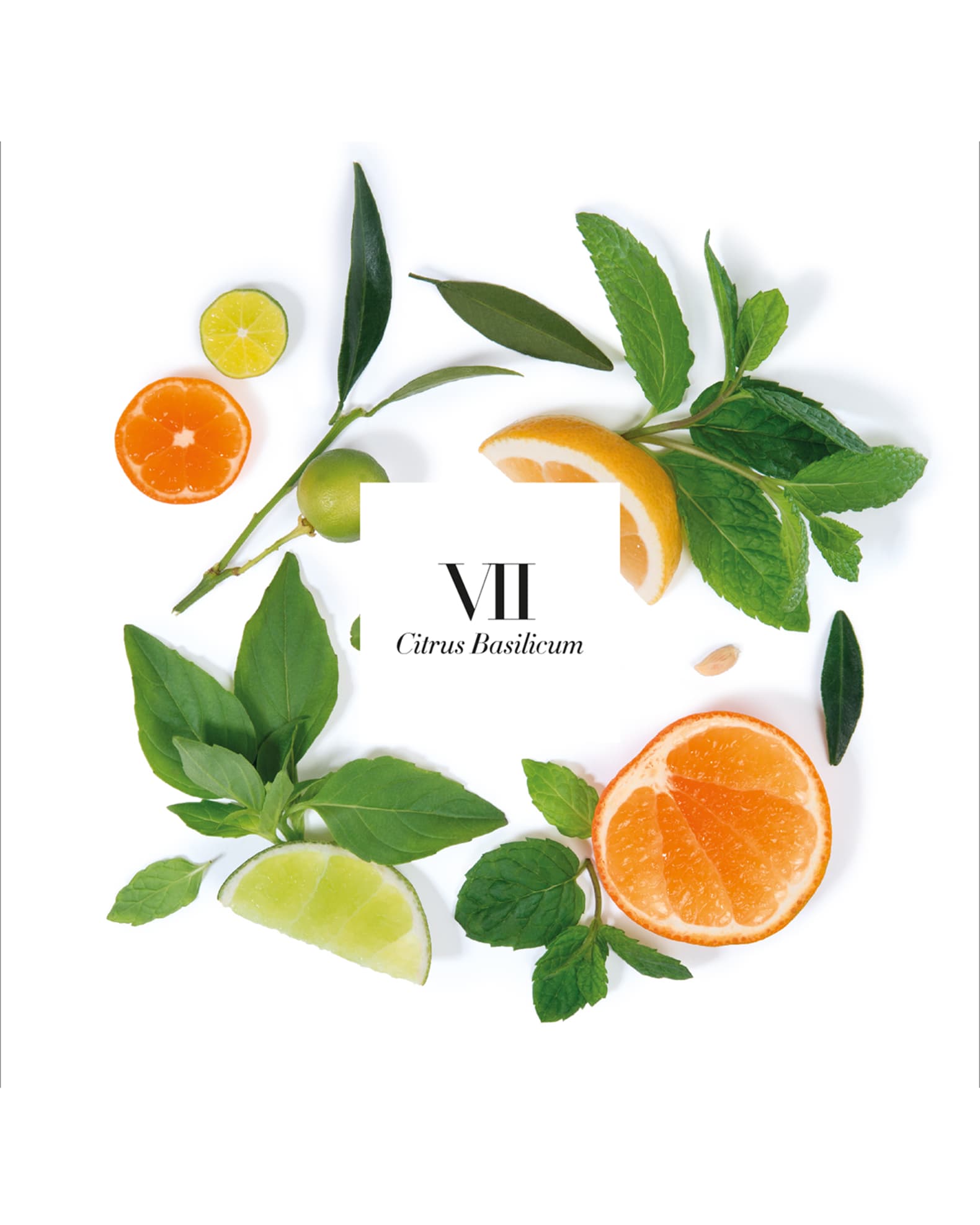 Amanda de Montal 7.76 oz. Citrus Basilicum Candle | Neiman Marcus