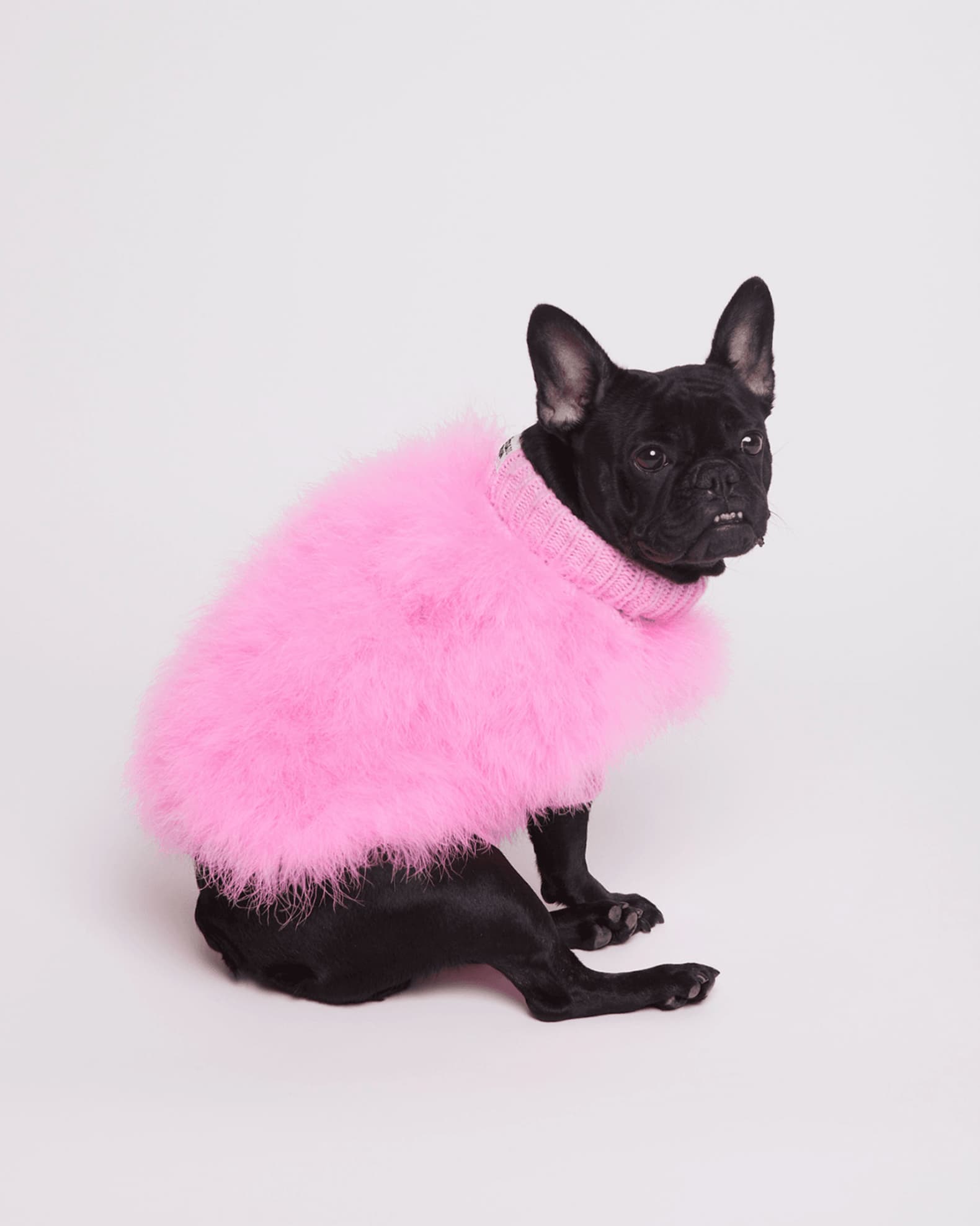 Maxbone x Christian Cowan Pet Jumper | Neiman Marcus