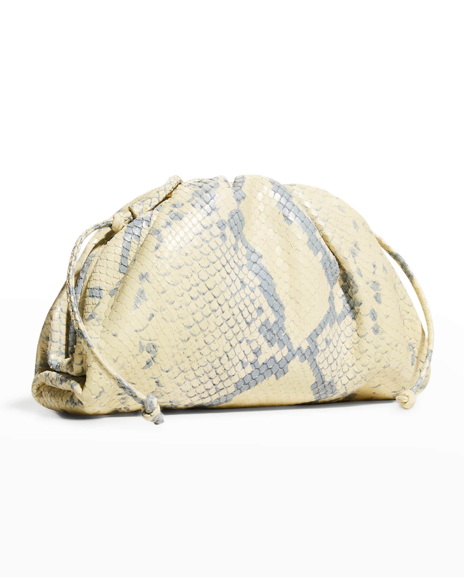 Bottega Veneta Mini Python-Print Pouch Crossbody Bag | Neiman Marcus