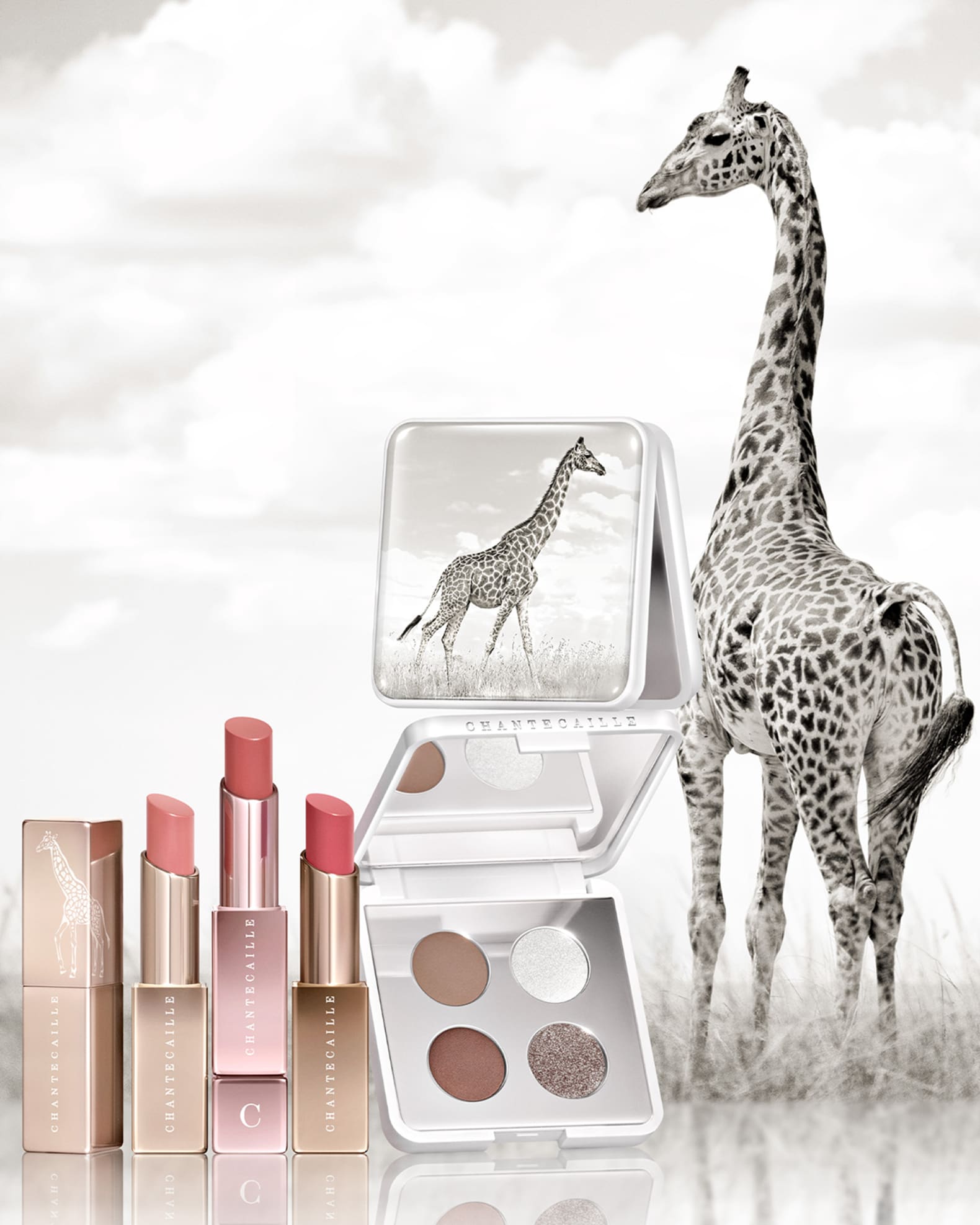 Chantecaille HD Radiant Blush - The Giraffe Collection | Neiman Marcus