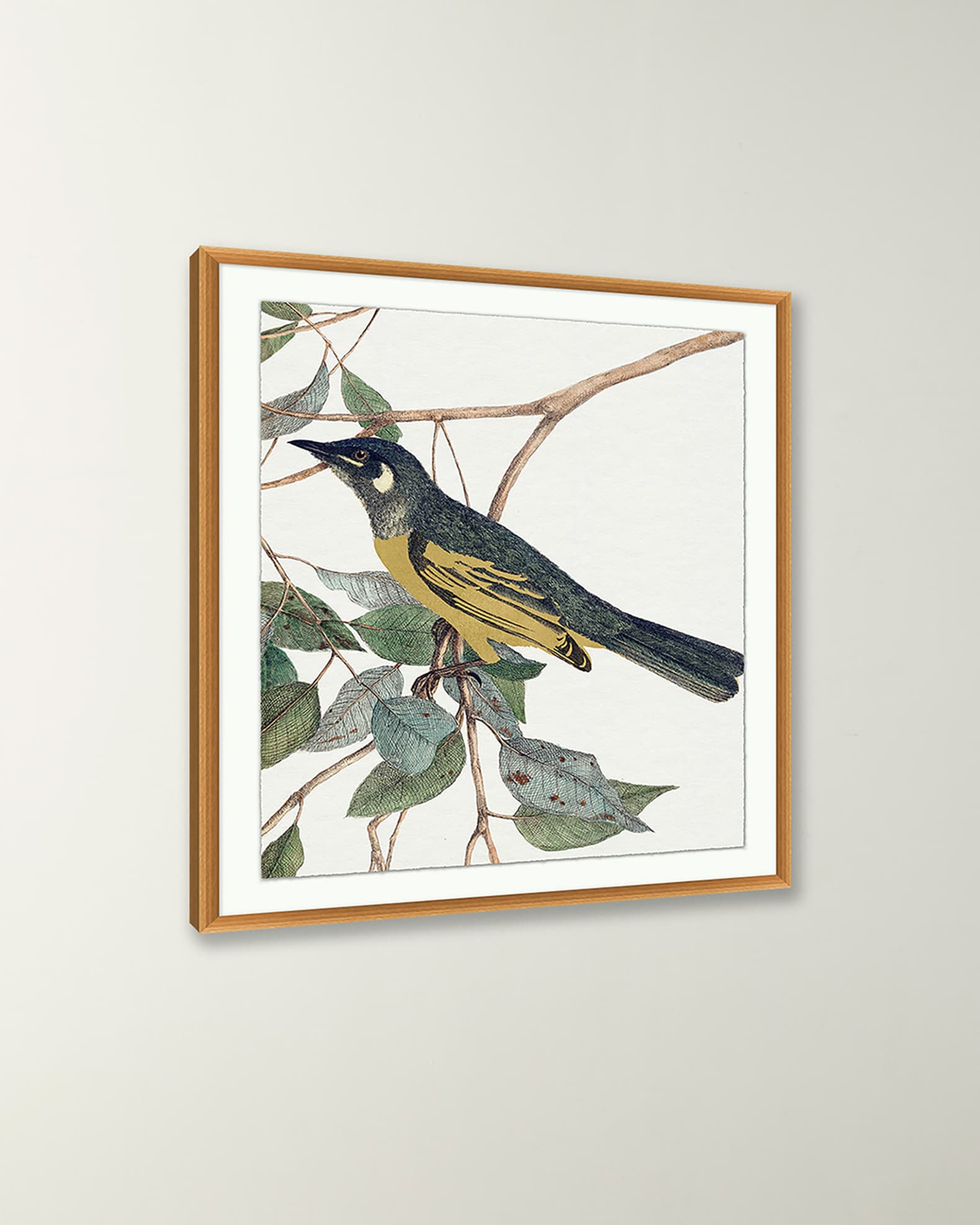 "Birds Of A Feather" Wall Art Collection | Neiman Marcus