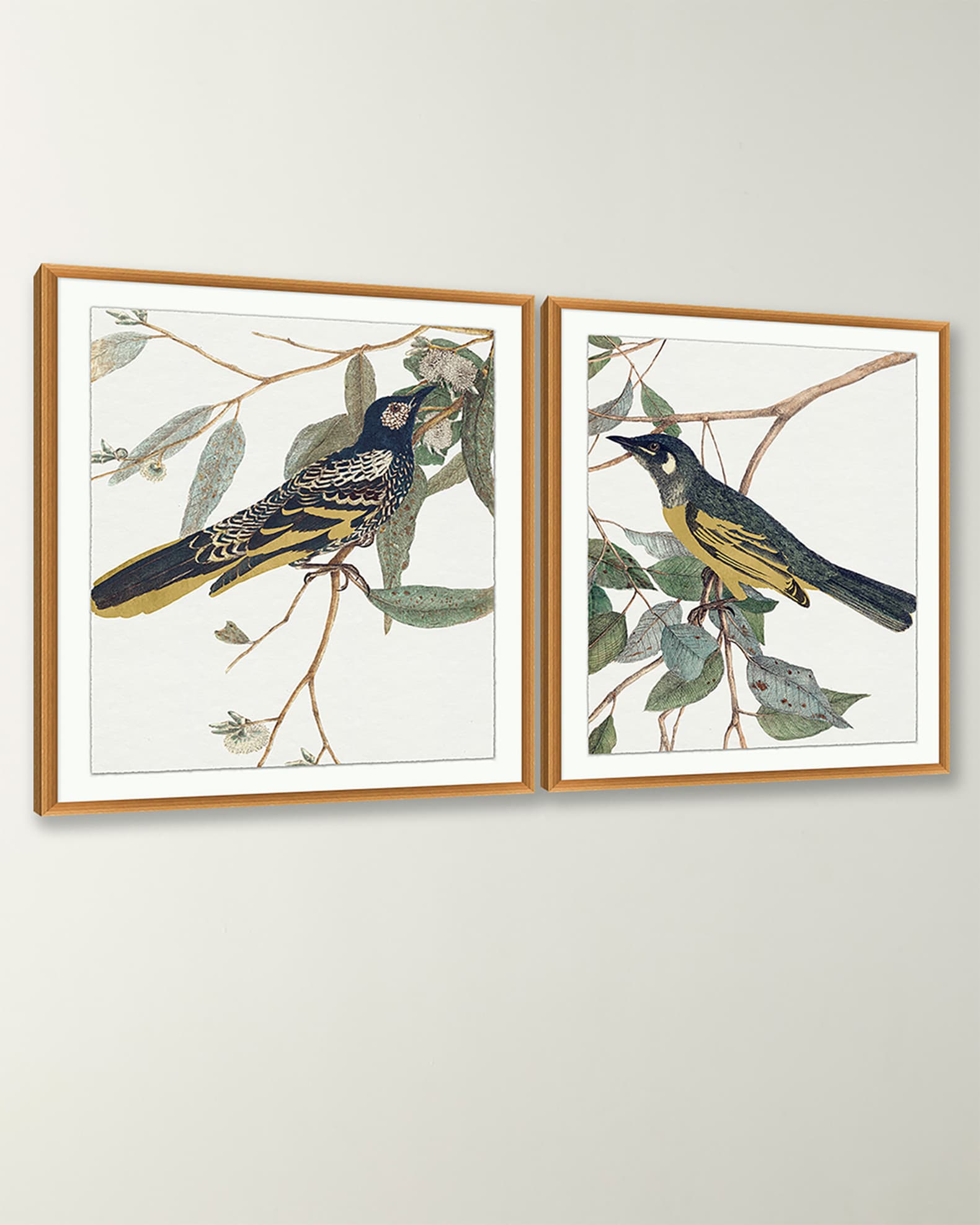 "Birds Of A Feather" Wall Art Collection | Neiman Marcus