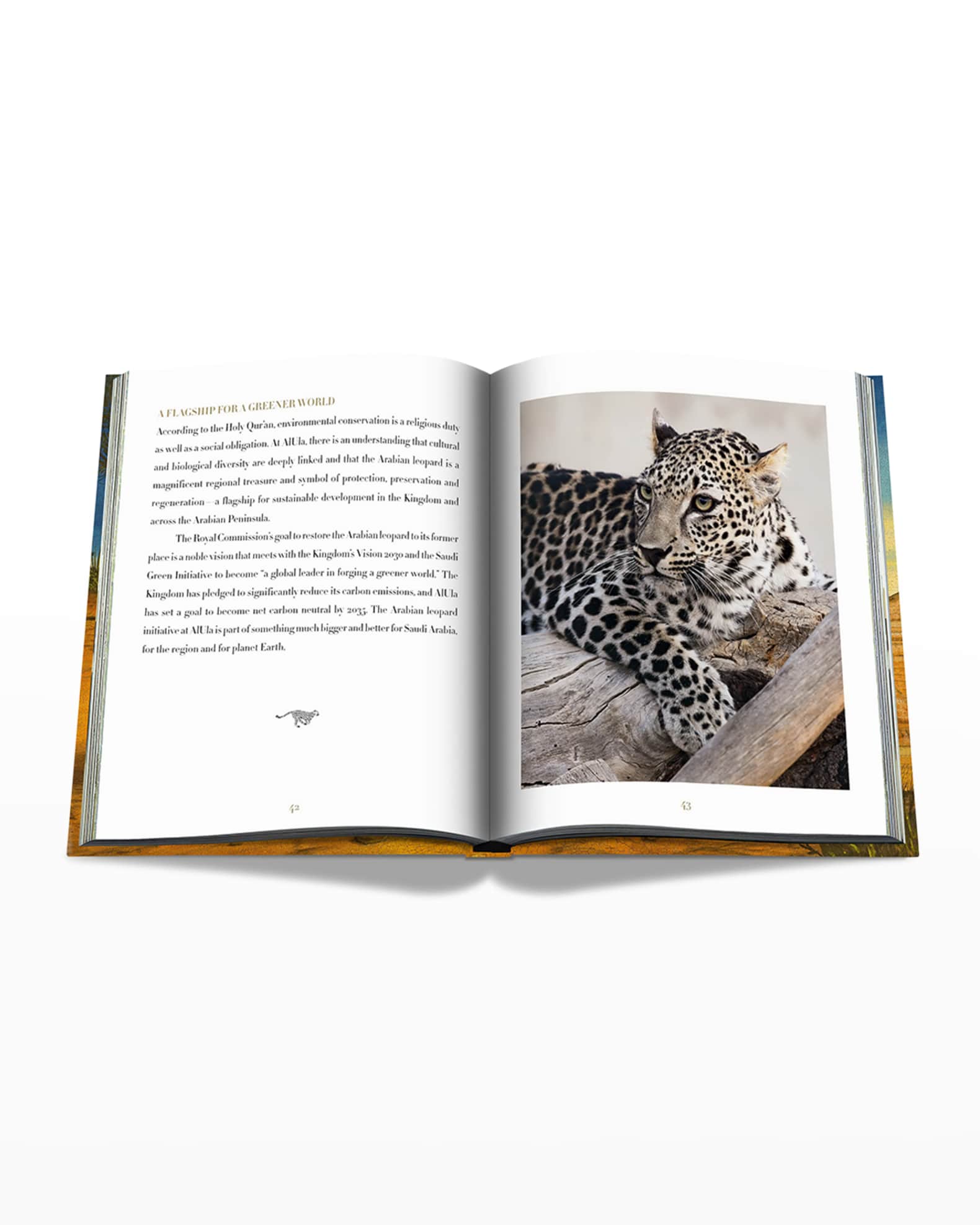 Assouline "Arabian Leopard Ultimate" Book | Neiman Marcus