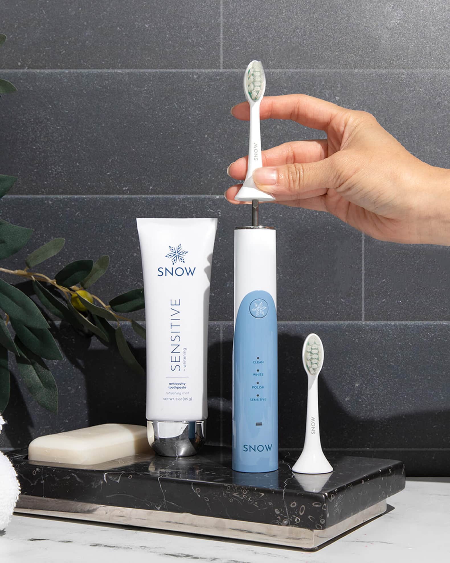 SNOW Oral Cosmetics Electric Toothbrush Refillable Heads, Gen 1 ...