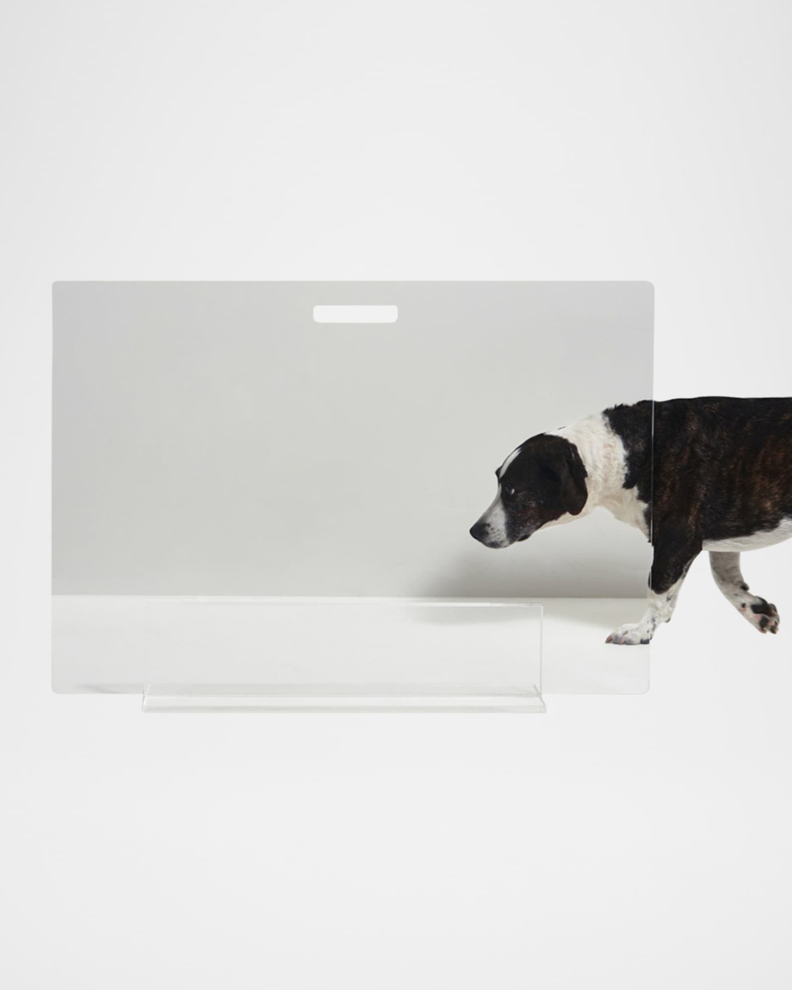 Clear Freestanding Pet Gate Wide Panel Collection | Neiman Marcus