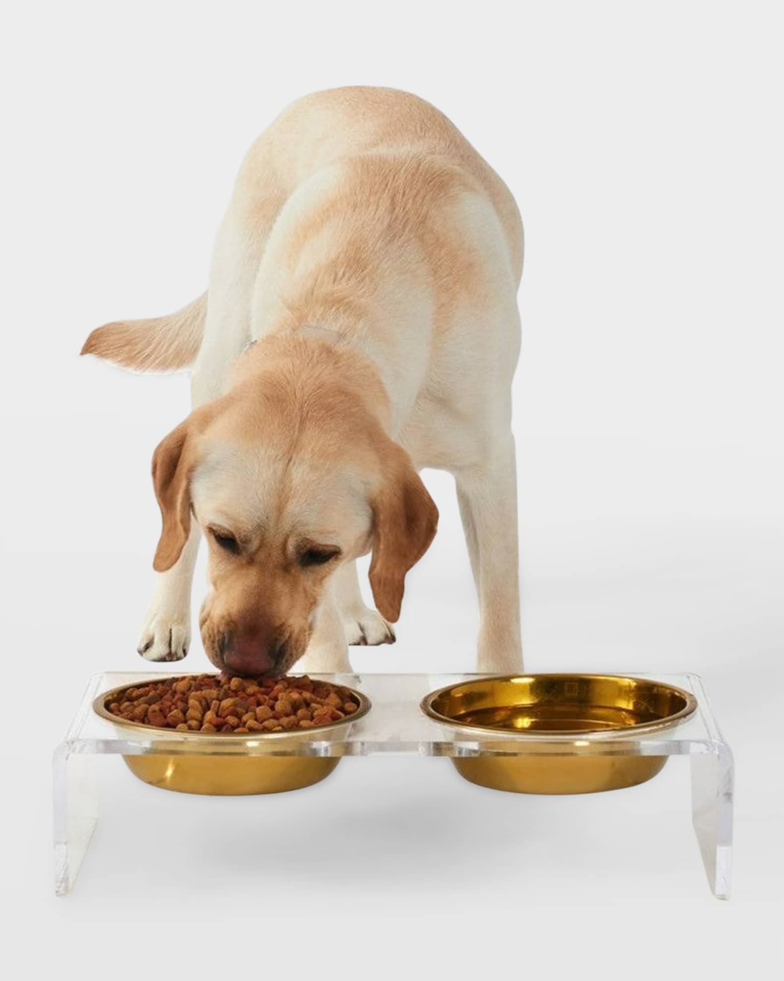 Clear Gold Double Bowl Pet Feeder Collection | Neiman Marcus