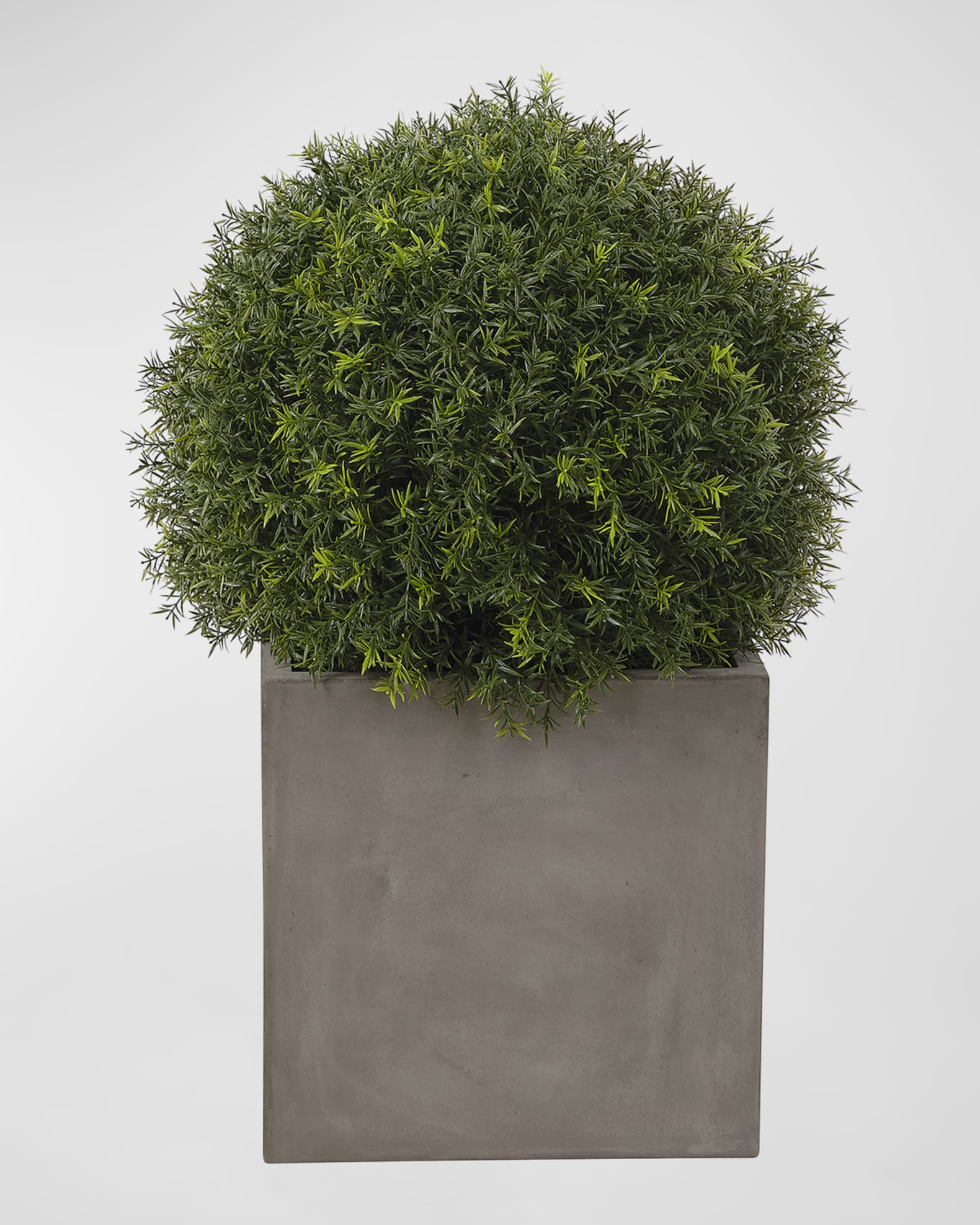 NDI Japanese Yew Ball Topiary in Concrete Planter | Neiman Marcus
