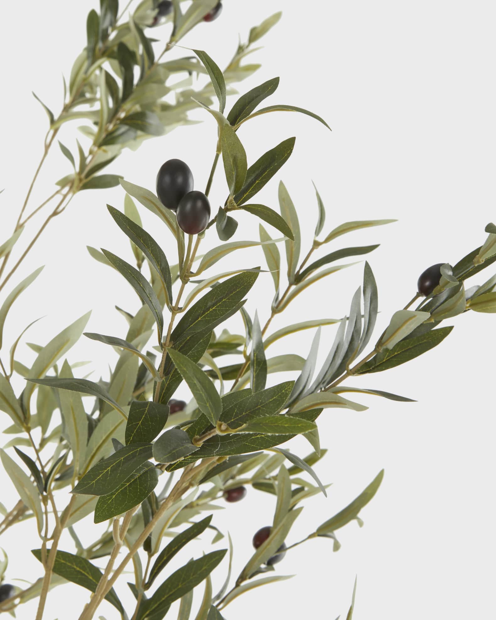 John-Richard Collection Faux Natural Olive Tree in Ceramic Pot - 112 ...