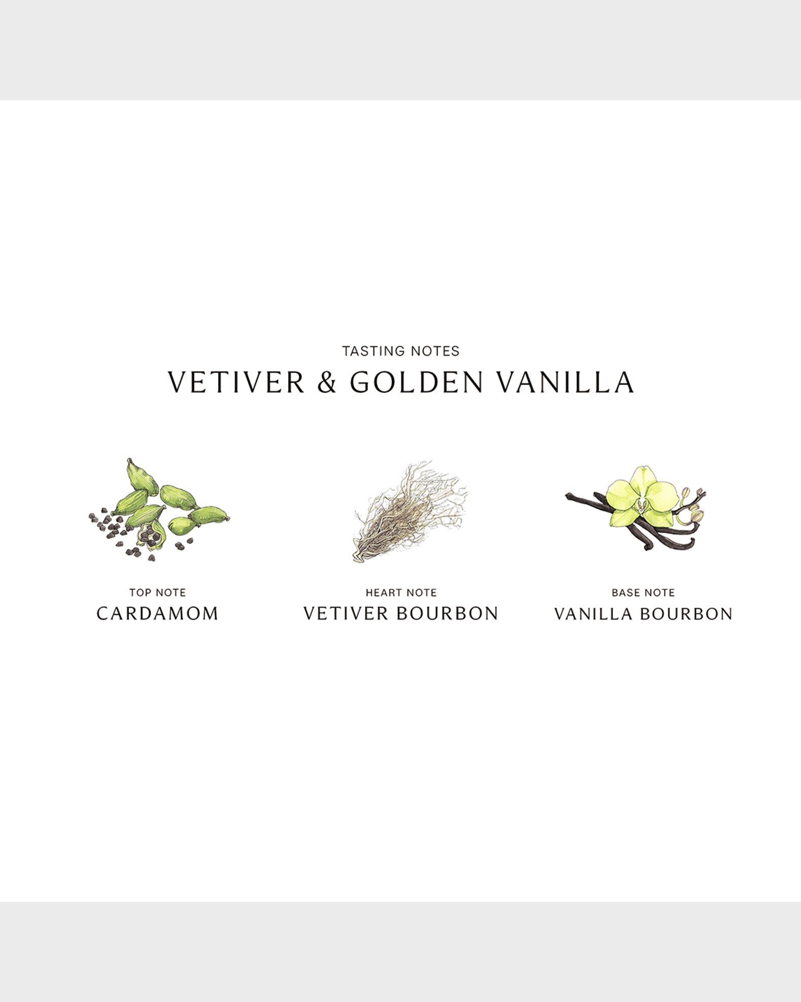 Vetiver and Golden Vanilla Cologne Intense | Neiman Marcus