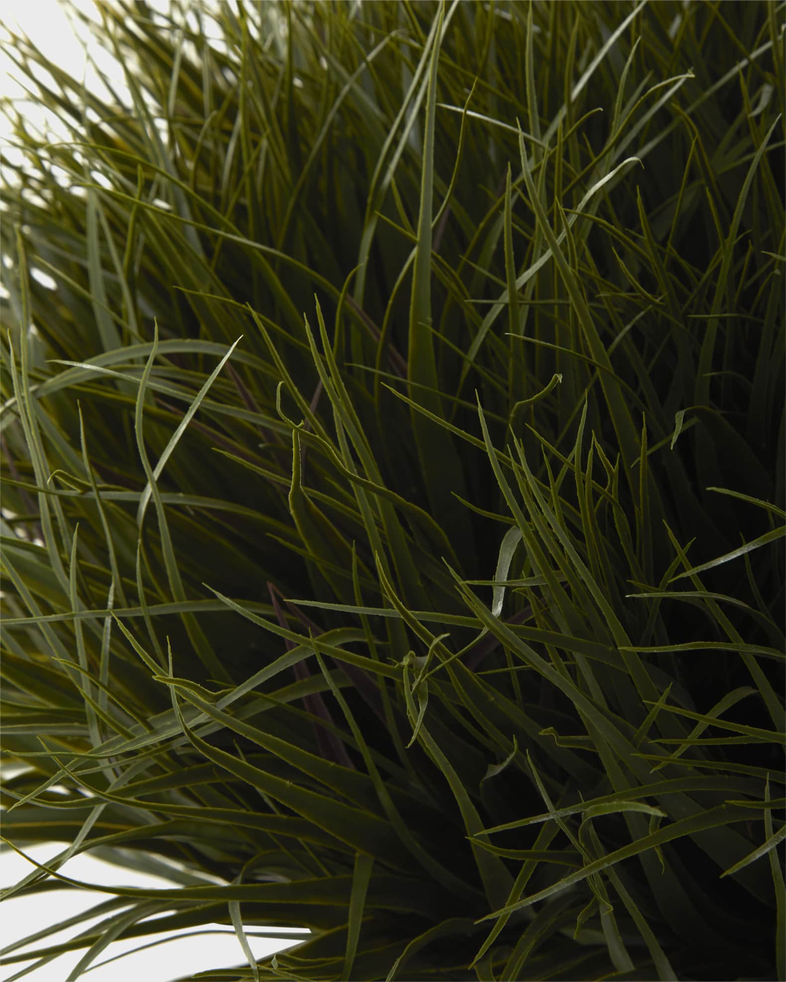 NDI Grass Dome Planter | Neiman Marcus