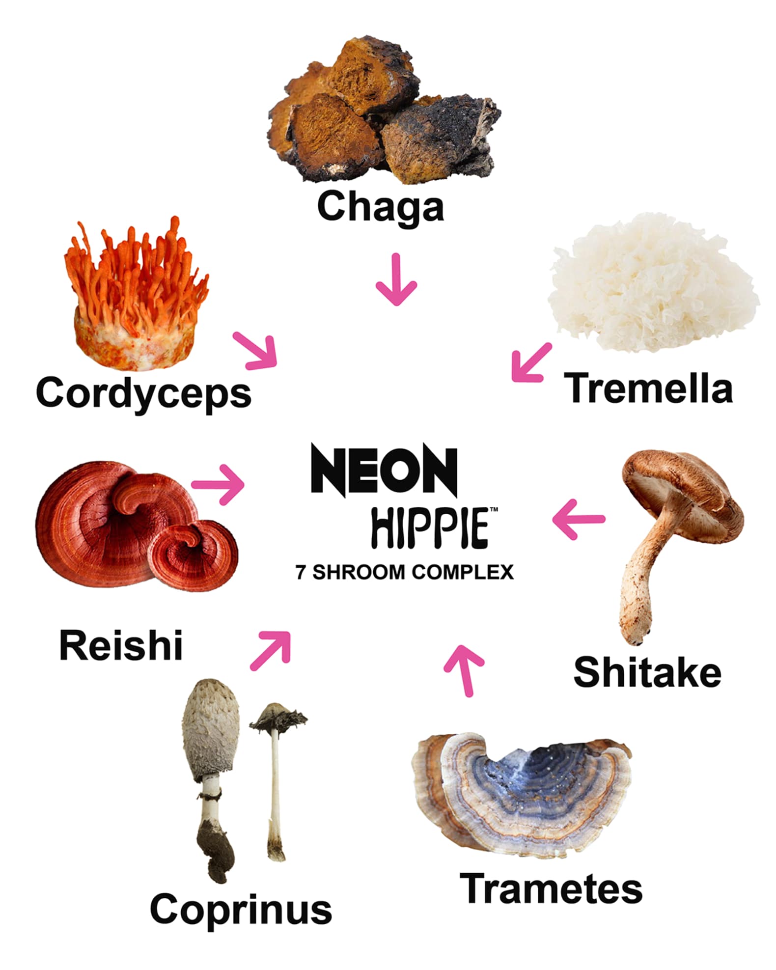 Neon Hippie Aura Cleanse Pure Skin Facial Cleanser, 8.4 oz. | Neiman Marcus