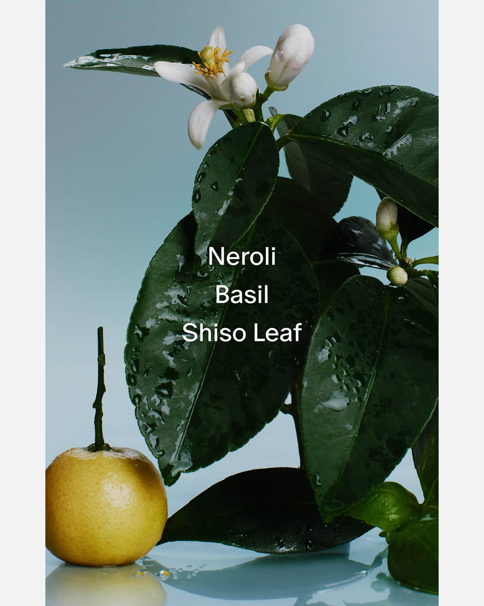 Salt & Stone Natural Deodorant, Neroli & Basil | Neiman Marcus