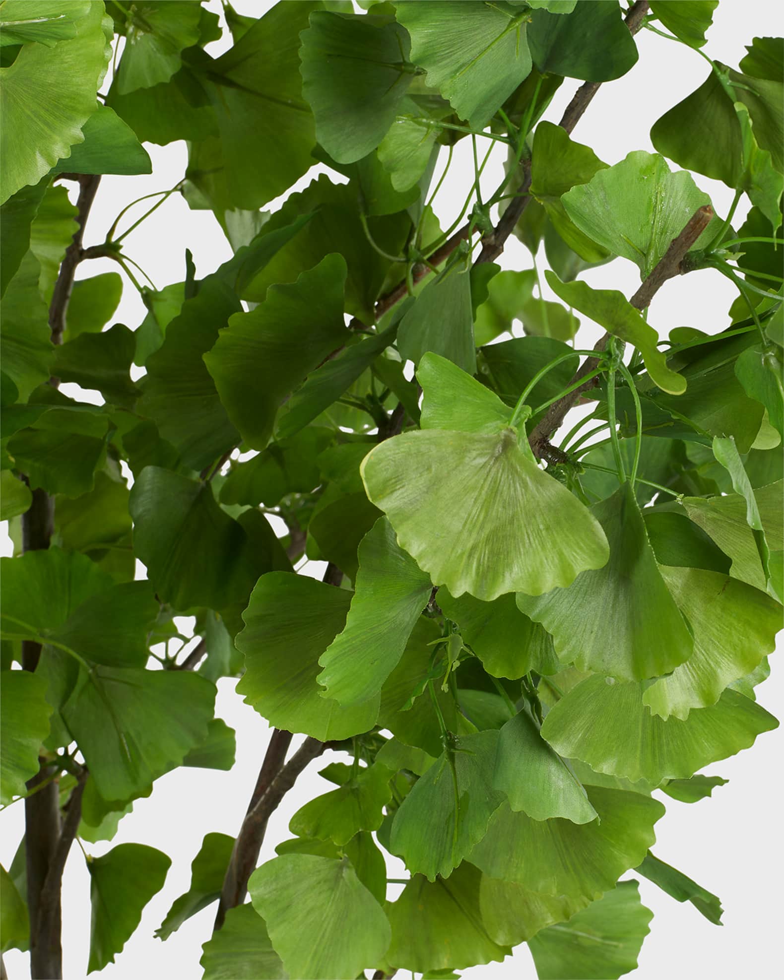 John-Richard Collection Atlantis Ginko Tree | Neiman Marcus