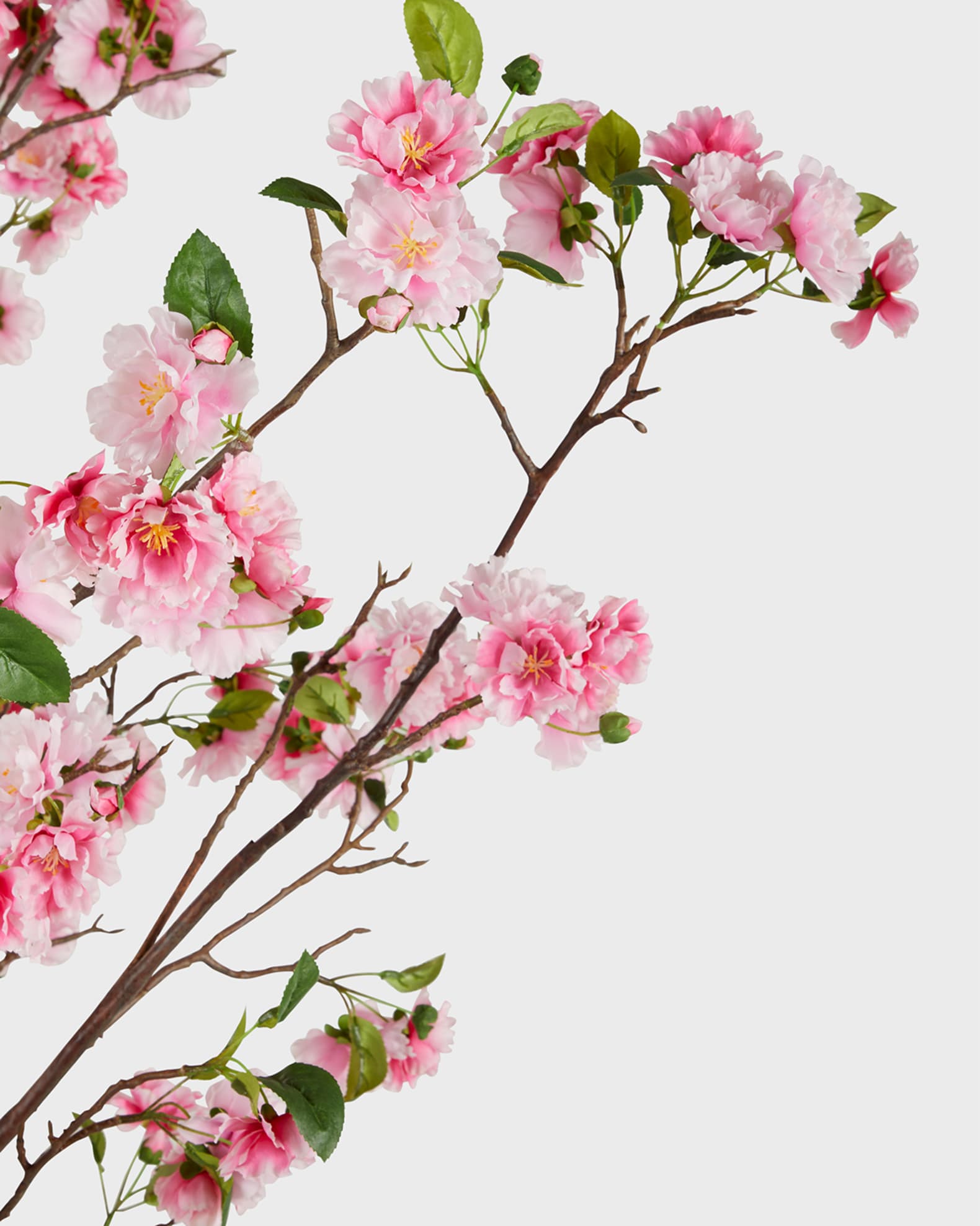 John-Richard Collection Pink Flowering Cherry Blossom Tree | Neiman Marcus
