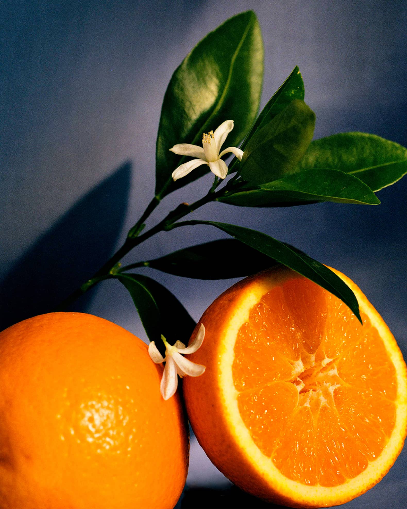 Loewe Loewe Orange Blossom Candle, 2120 g | Neiman Marcus