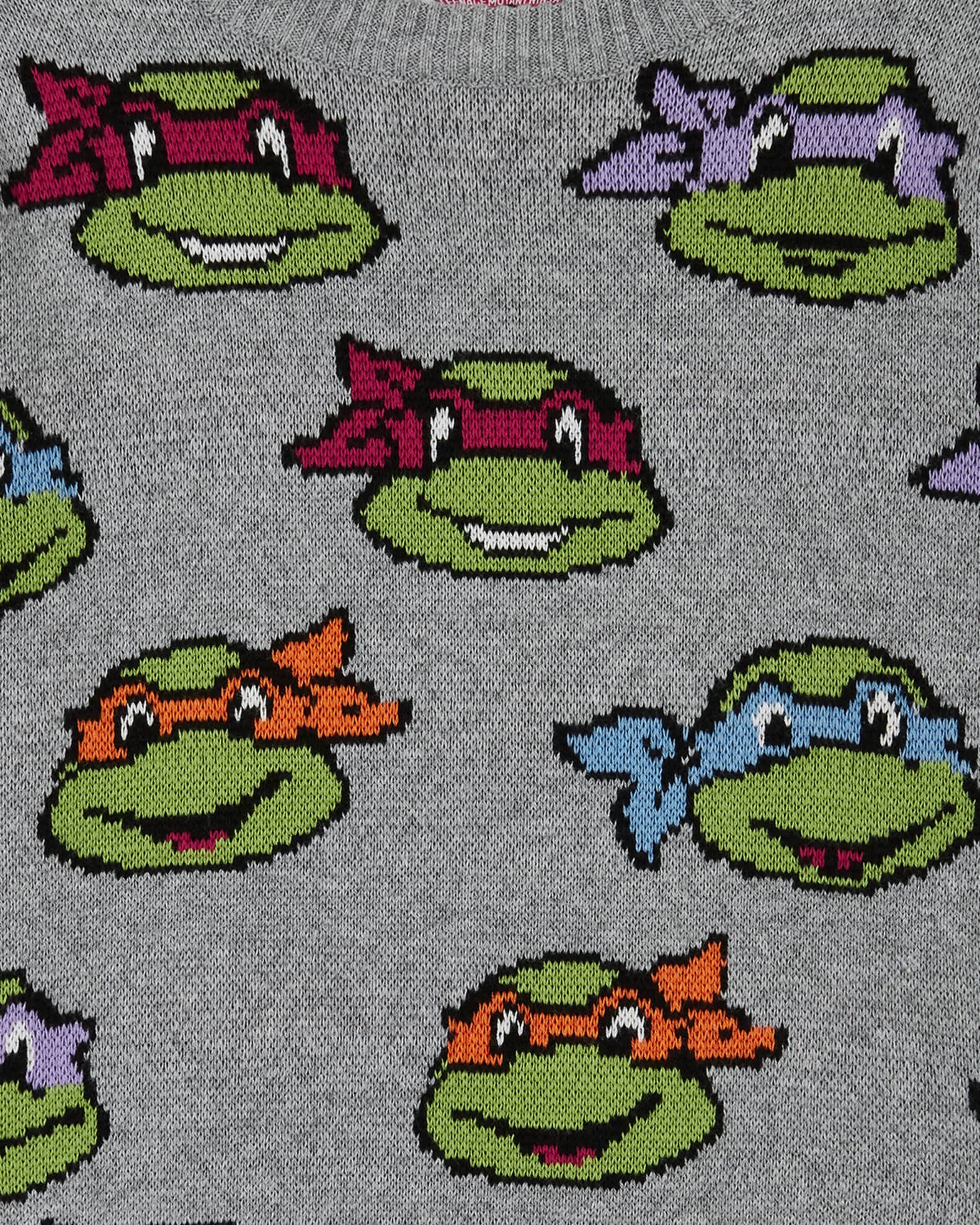 Andy & Evan x Teenage Mutant Ninja Turtles Jacquard Sweater, Size 8-14 ...