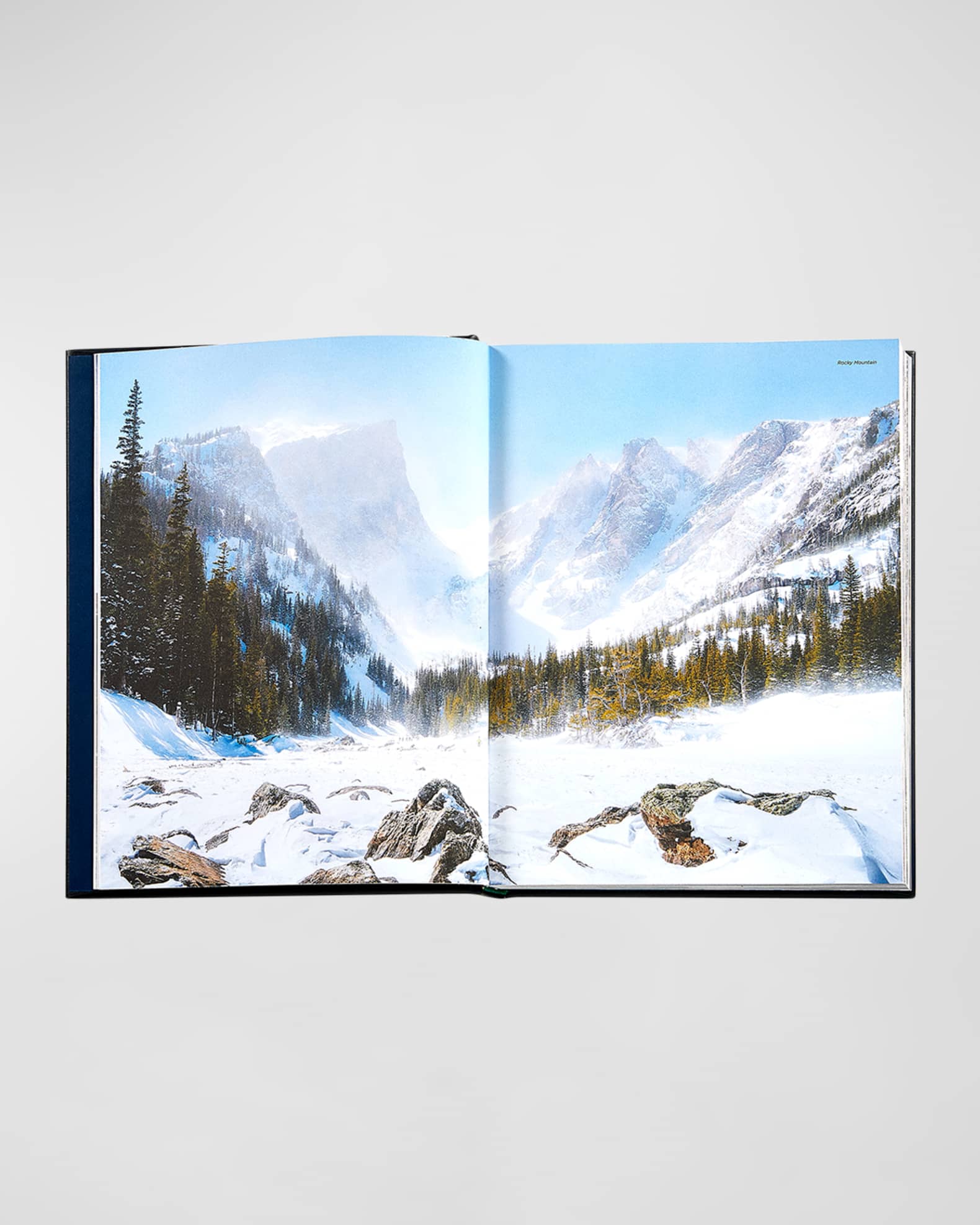 Graphic Image "Roaming America" Book | Neiman Marcus