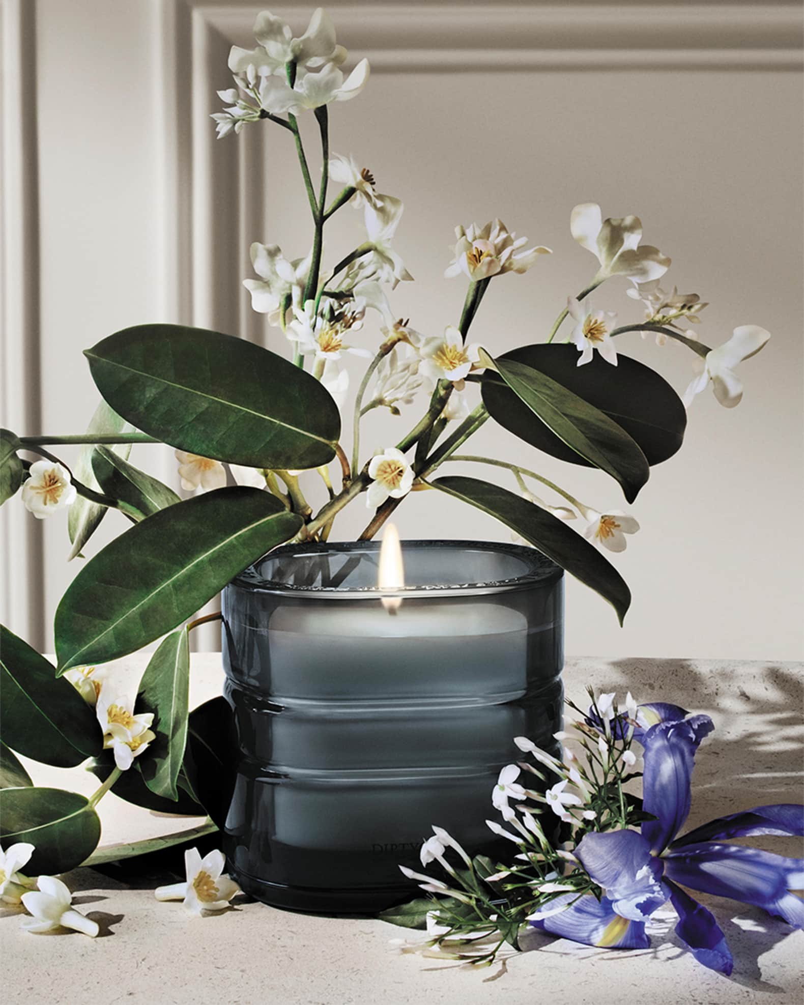 DIPTYQUE Nymphees Merveilles (Nymphaeum of Wonders) Refillable Candle ...