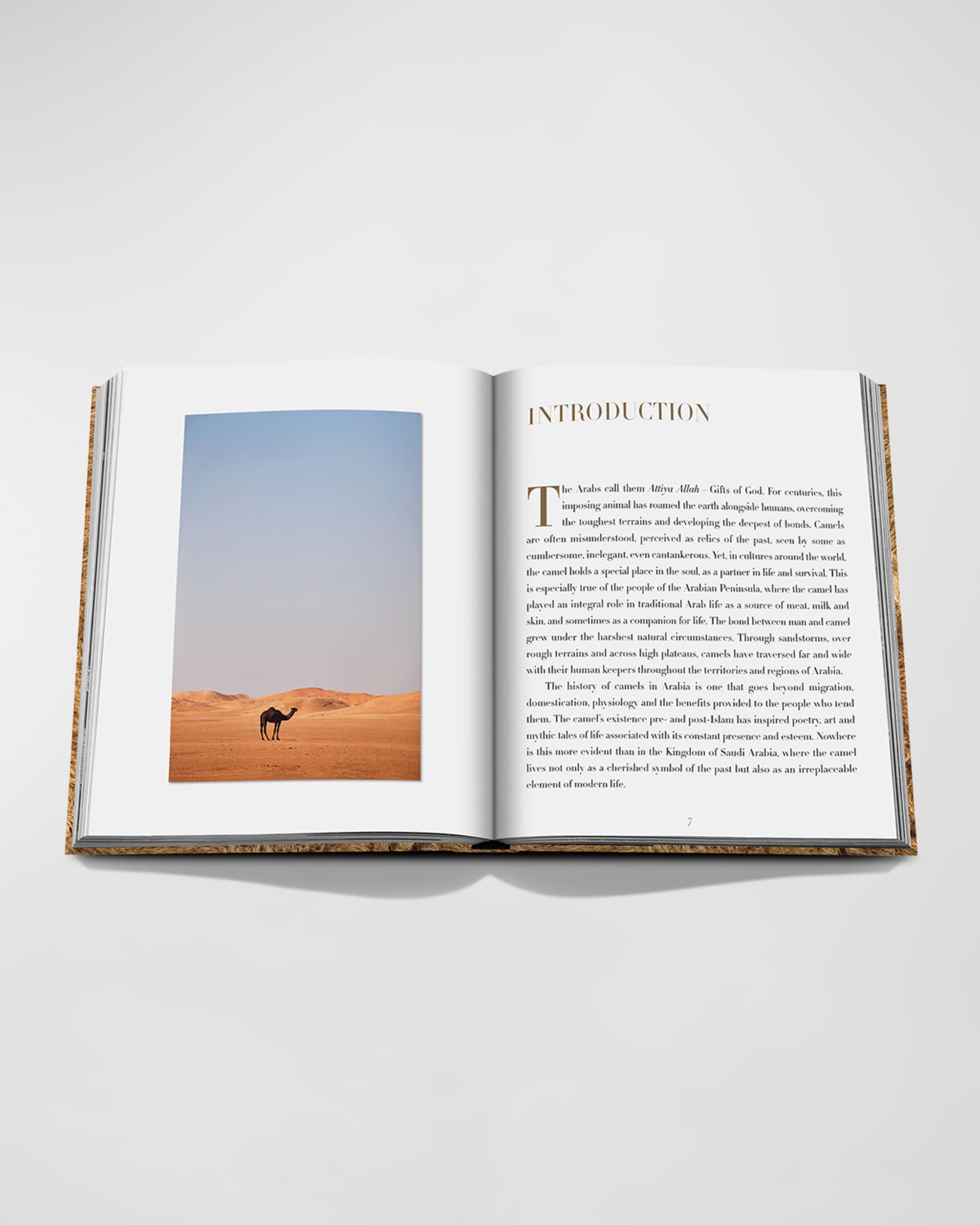 Assouline "Camels of Saudi Arabia (Ultimate Collection)" Book by Ghada ...