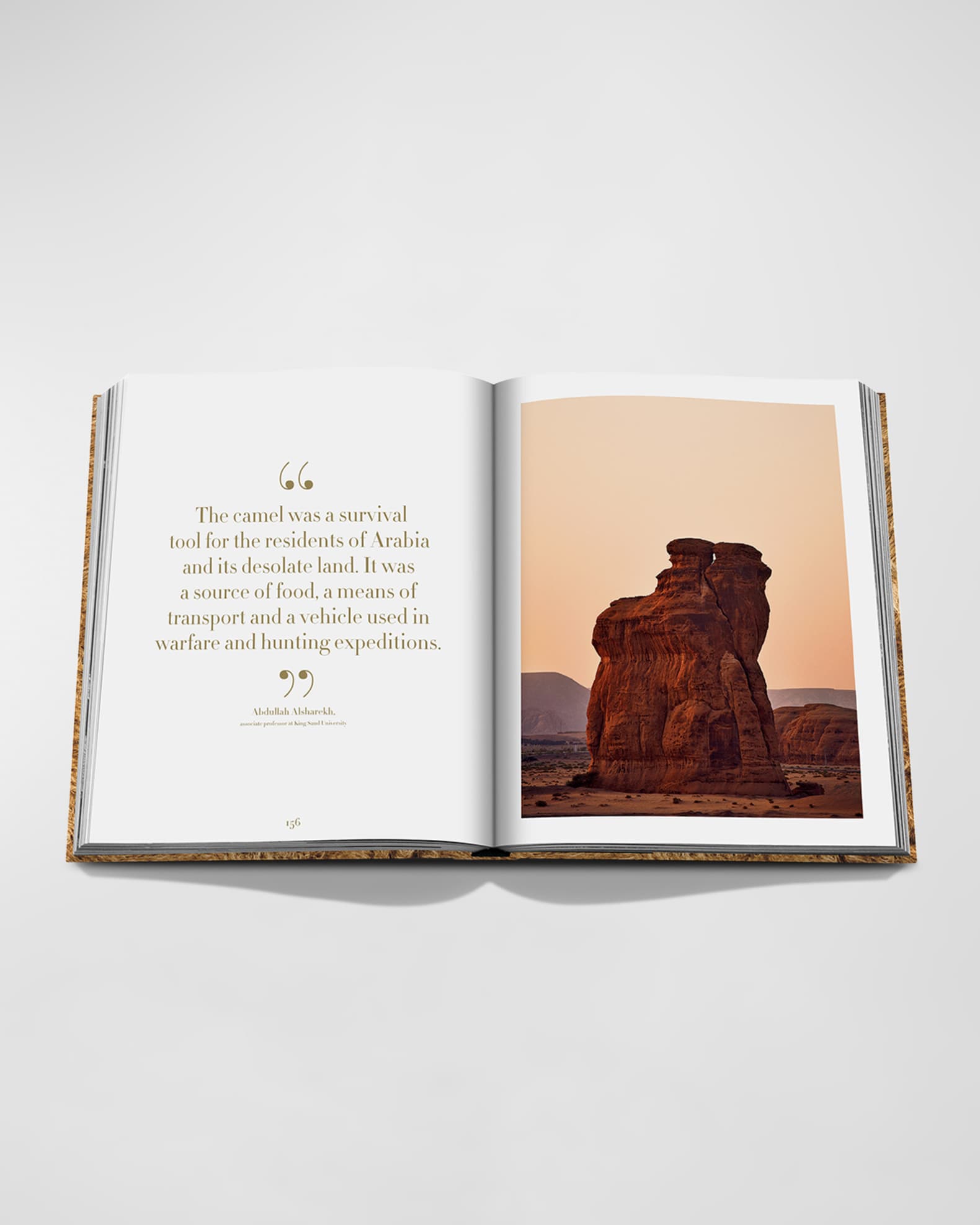 Assouline "Camels of Saudi Arabia (Ultimate Collection)" Book by Ghada ...