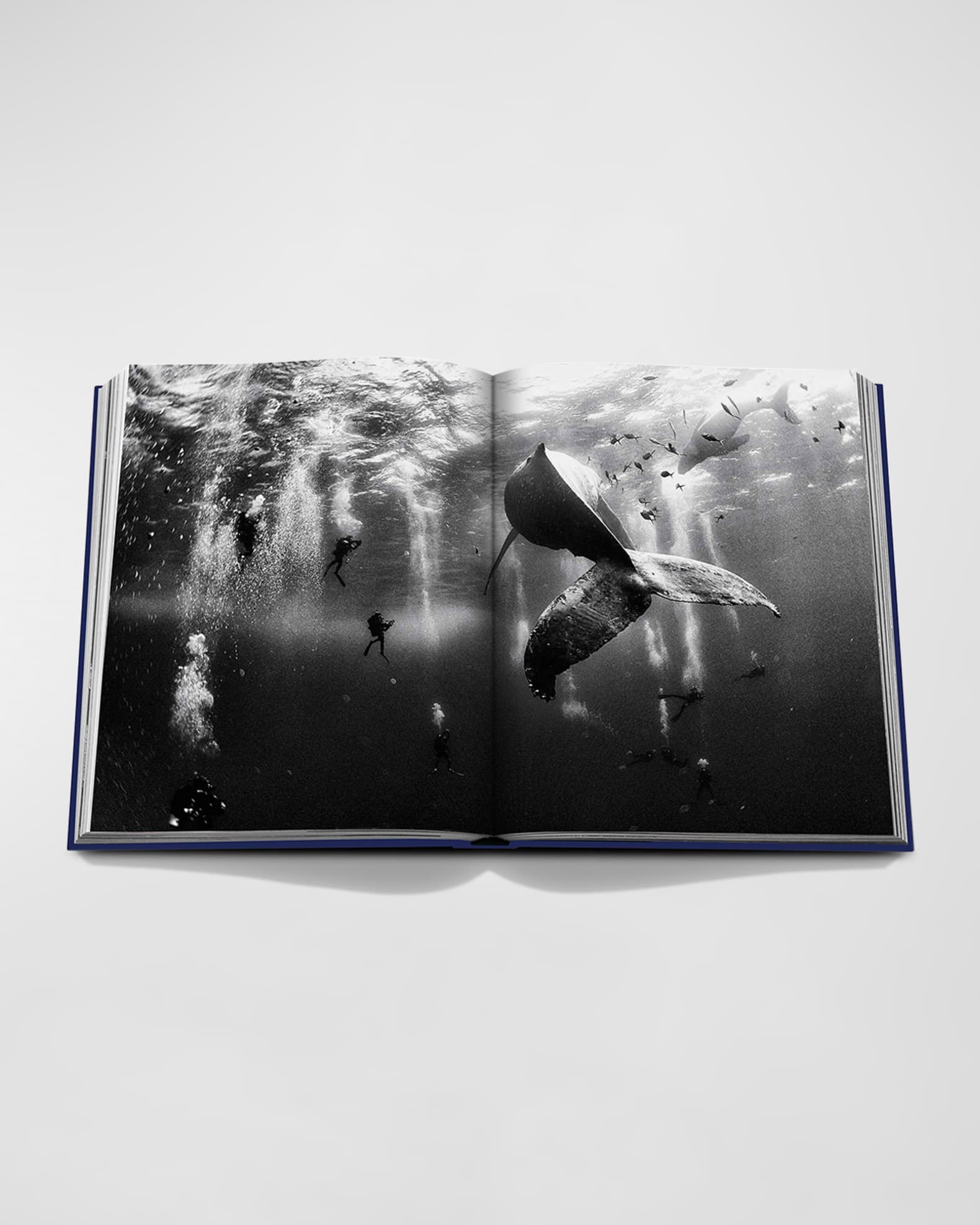 Assouline "Ocean Wanderlust" Book by Kevin Koenig | Neiman Marcus