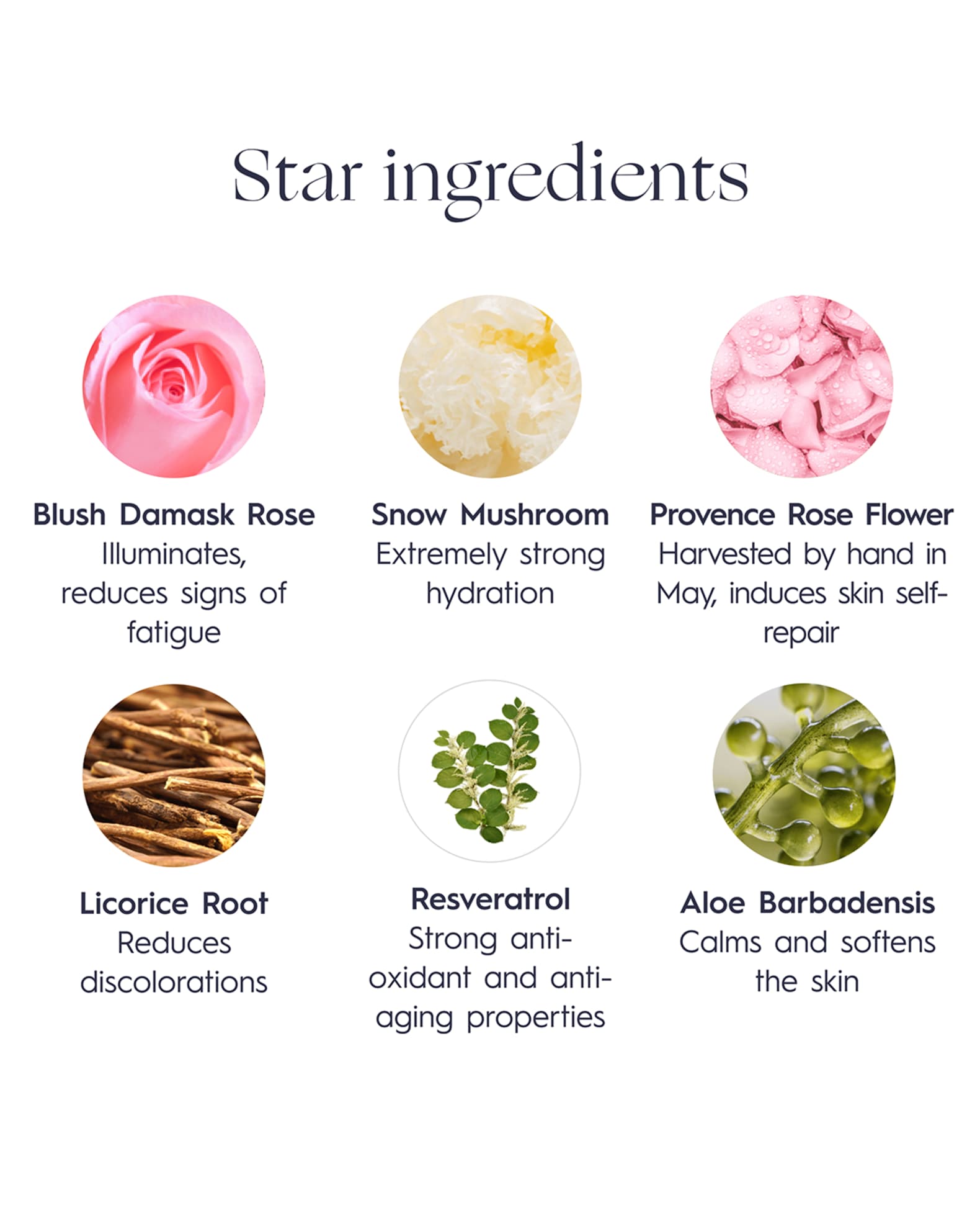 VERDILAB Anti-Wrinkle Rose Supreme Cream, 1.7 oz. | Neiman Marcus