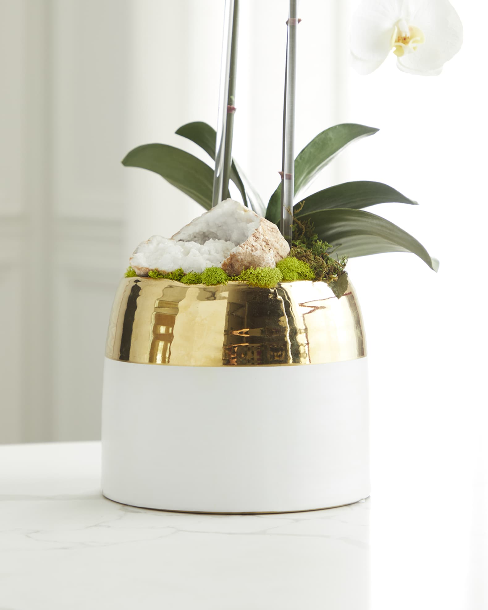 T&C Floral Company Double Orchid Faux Floral in Gold-Rimmed Ceramic ...