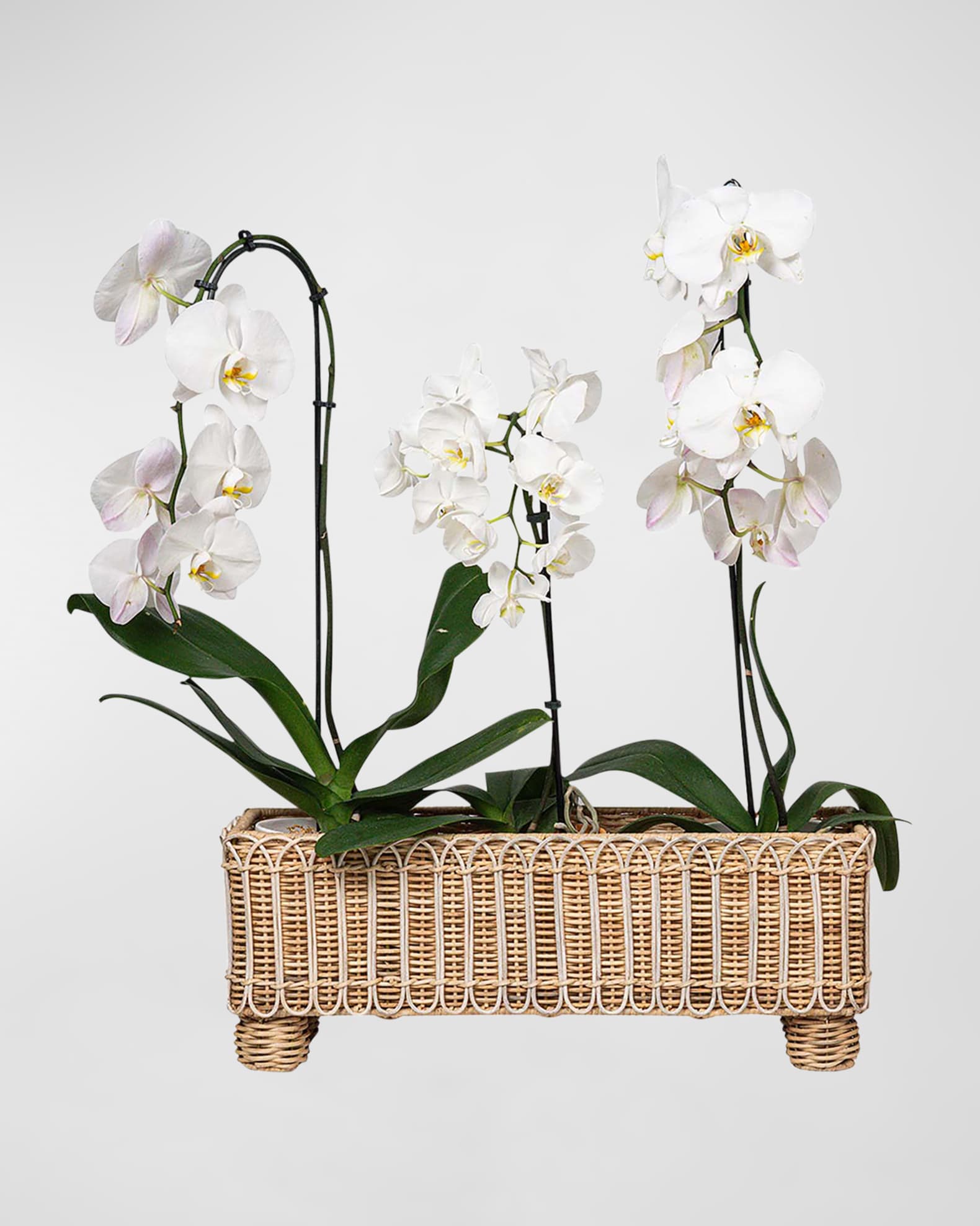 Juliska Provence Rattan Rectangular Planter | Neiman Marcus