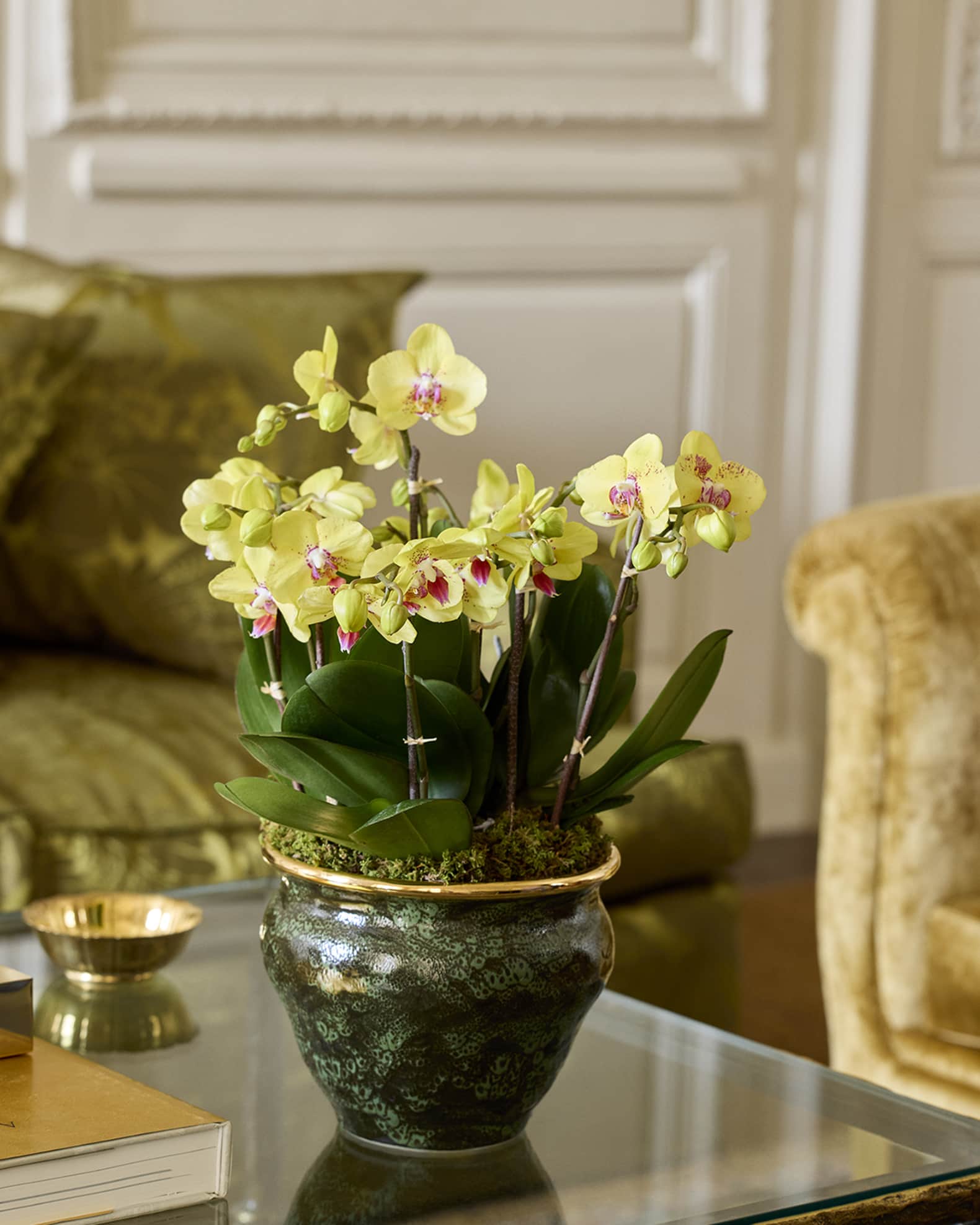 AERIN Rimara Cachepot | Neiman Marcus