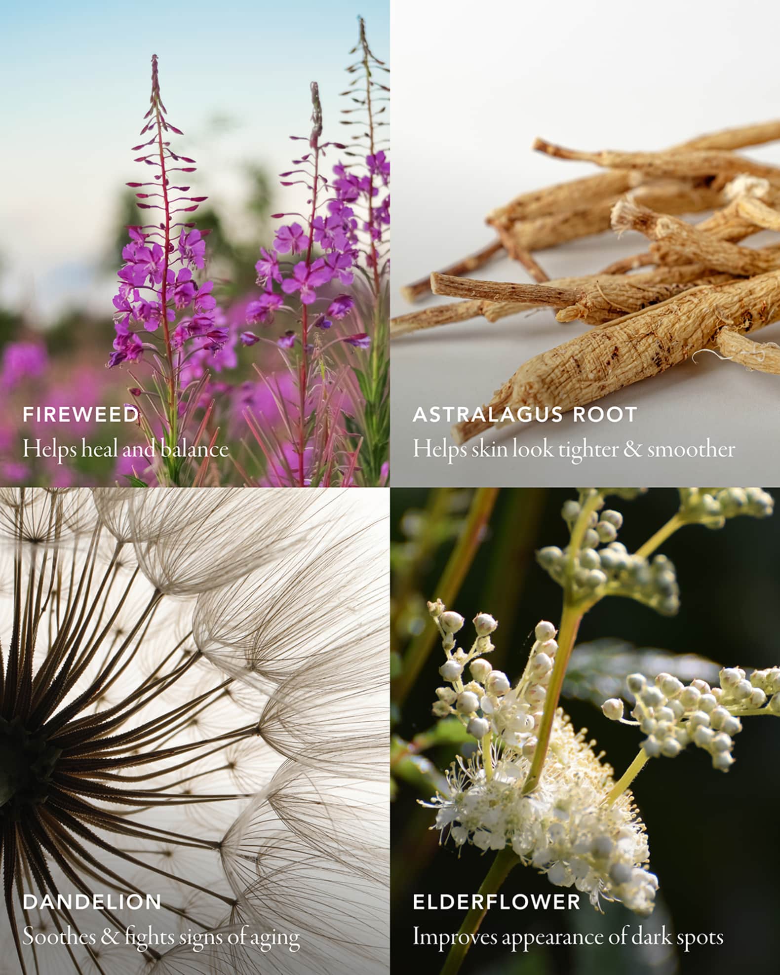 Caldera + Lab The Good Serum, 1 oz. | Neiman Marcus