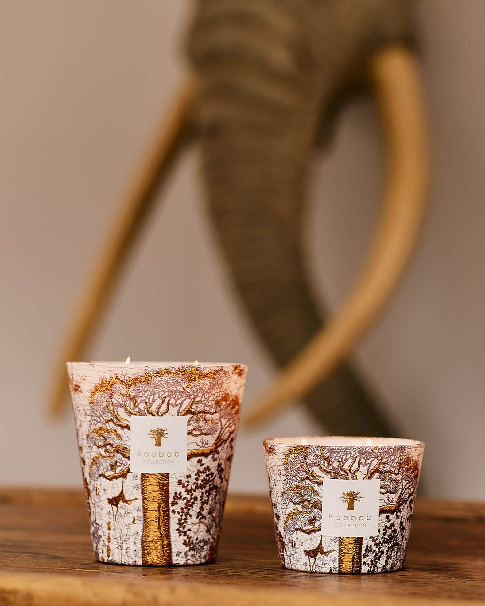 Baobab Collection Sacred Trees Dualla 4-Wick Max10 Candle, 40 oz ...