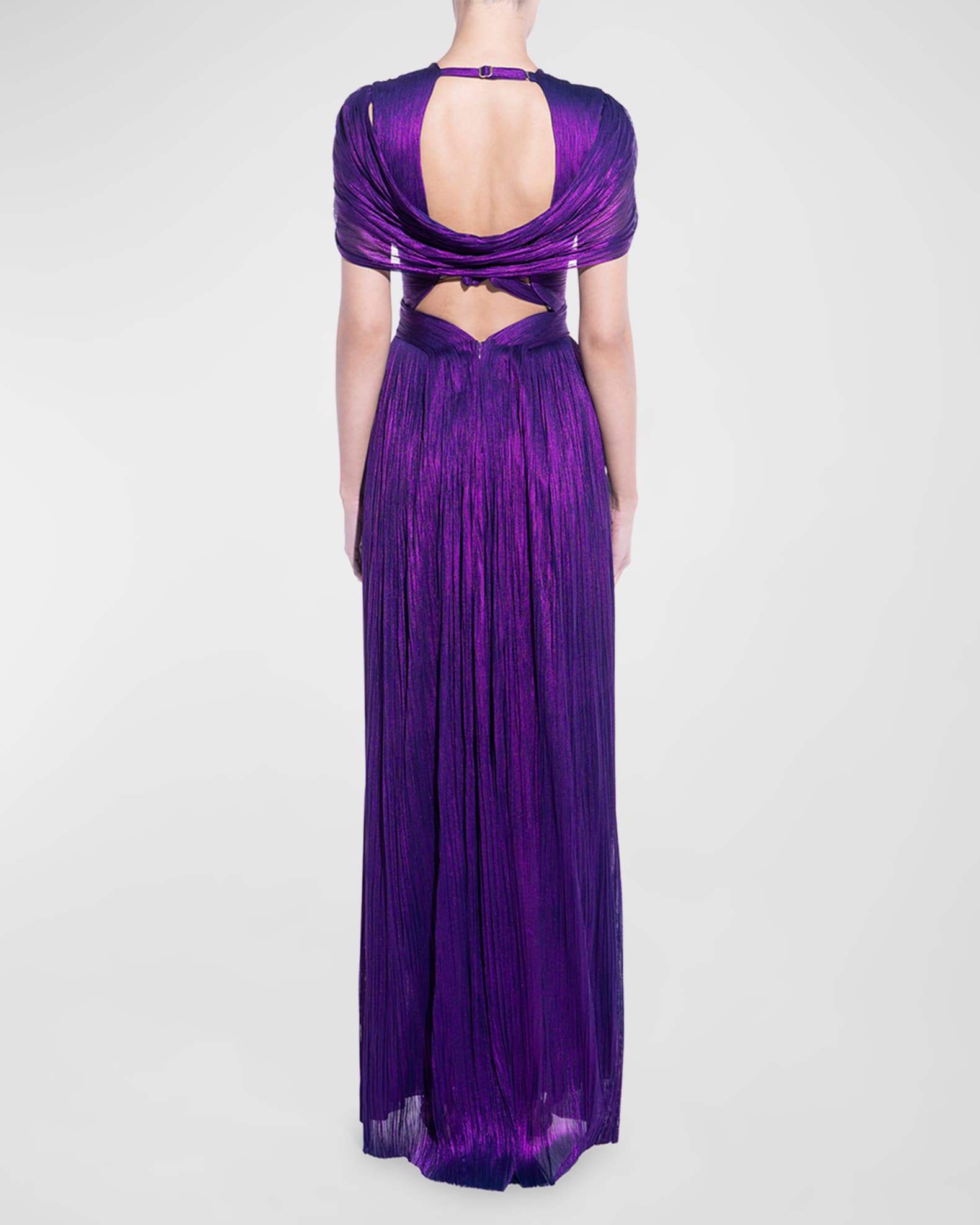 Maria Lucia Hohan Laurel Plunging Drape Backless Metallic Plisse Gown ...