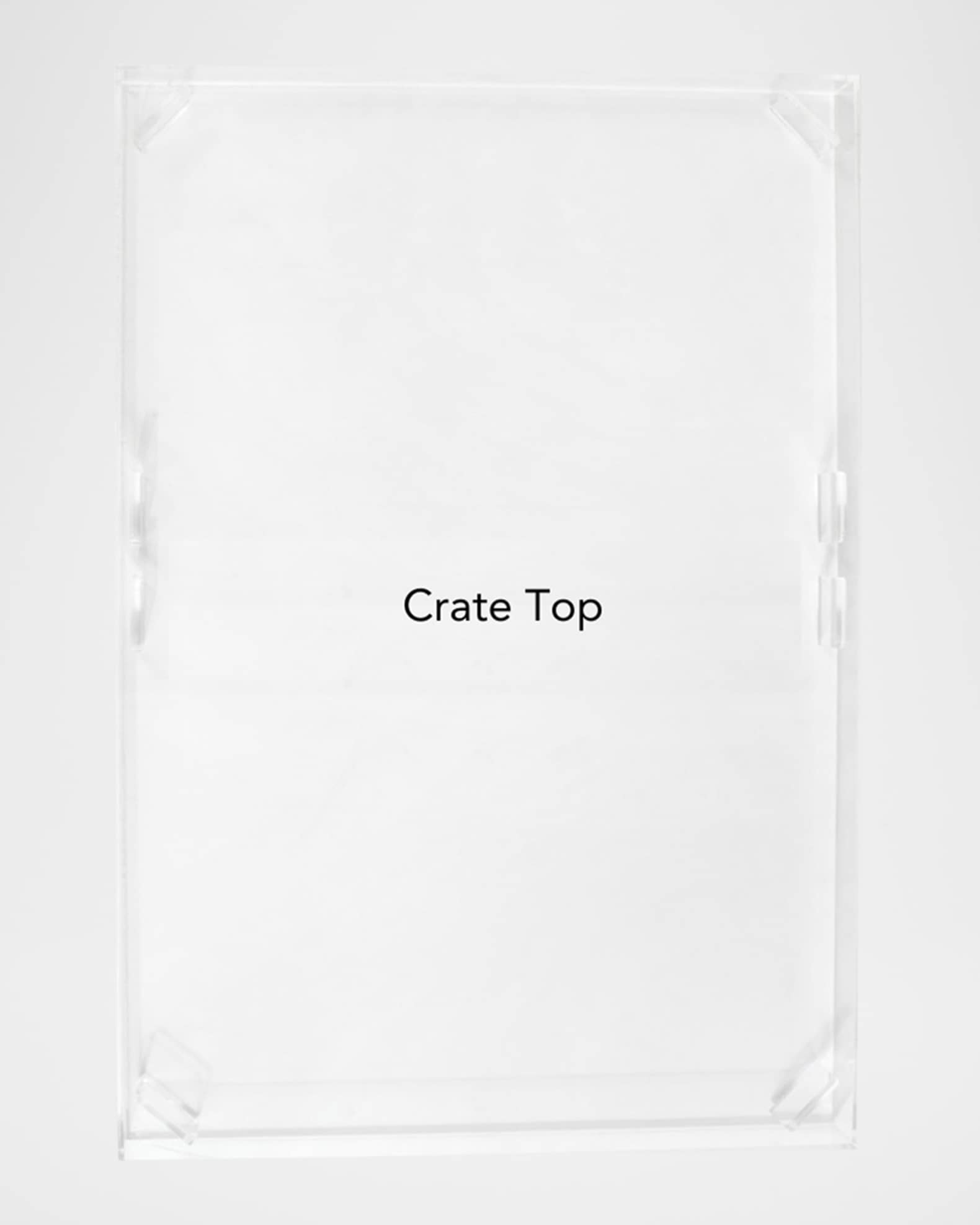 HIDDIN Small Clear View Pet Crate with Silver Latches | Neiman Marcus